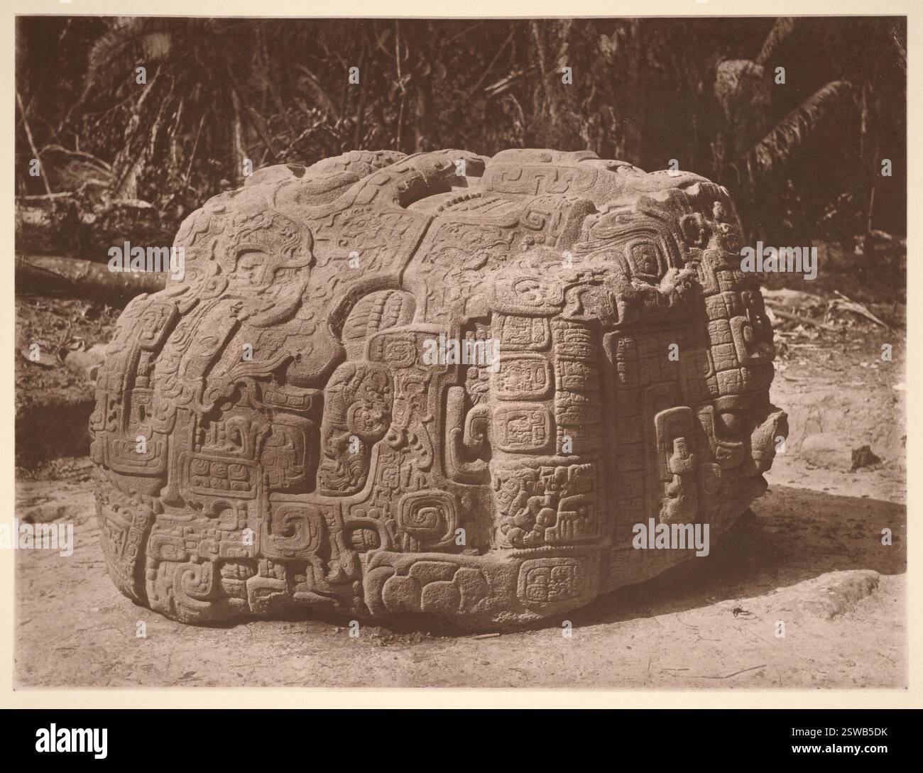 The Great Big Turtle. Quirigua, a Maya archaeological site in Guatemala ...