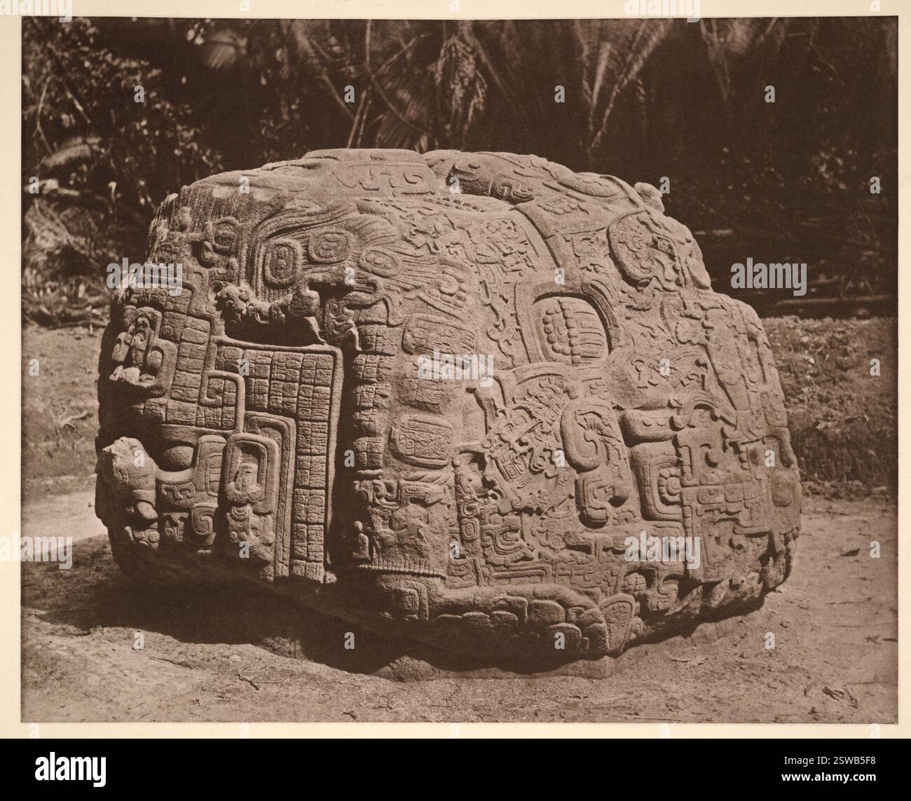 The Great Big Turtle. Quirigua, a Maya archaeological site in Guatemala ...