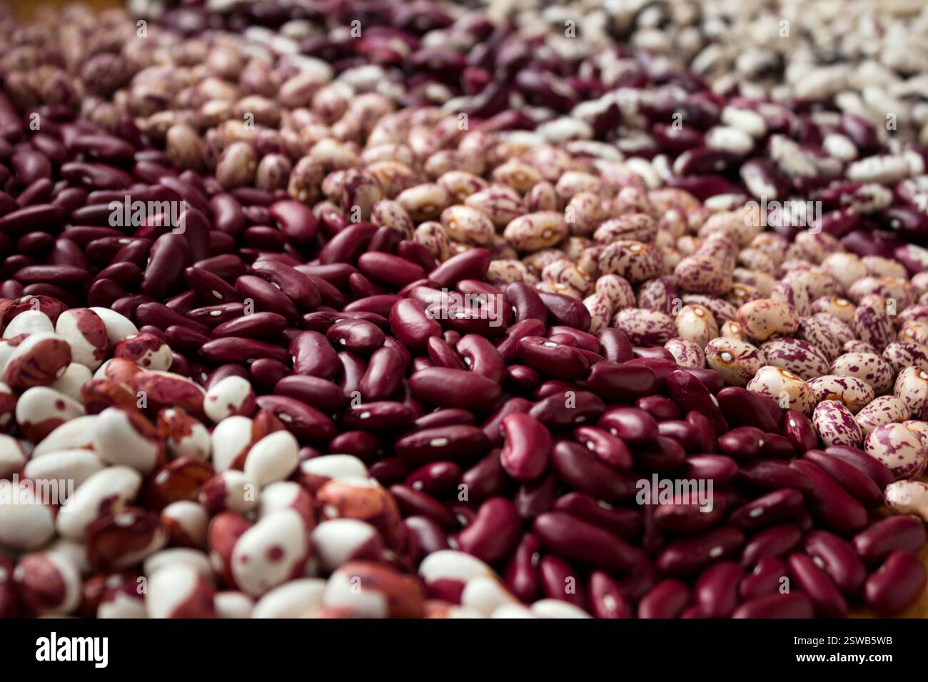 Different types of beans - kidney, variegated beans, anasazi ...