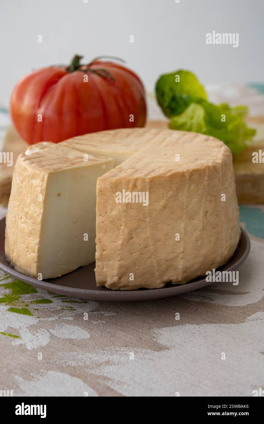 Cheese collection, piece of round fresh smoked Spanish goat cheese with ...