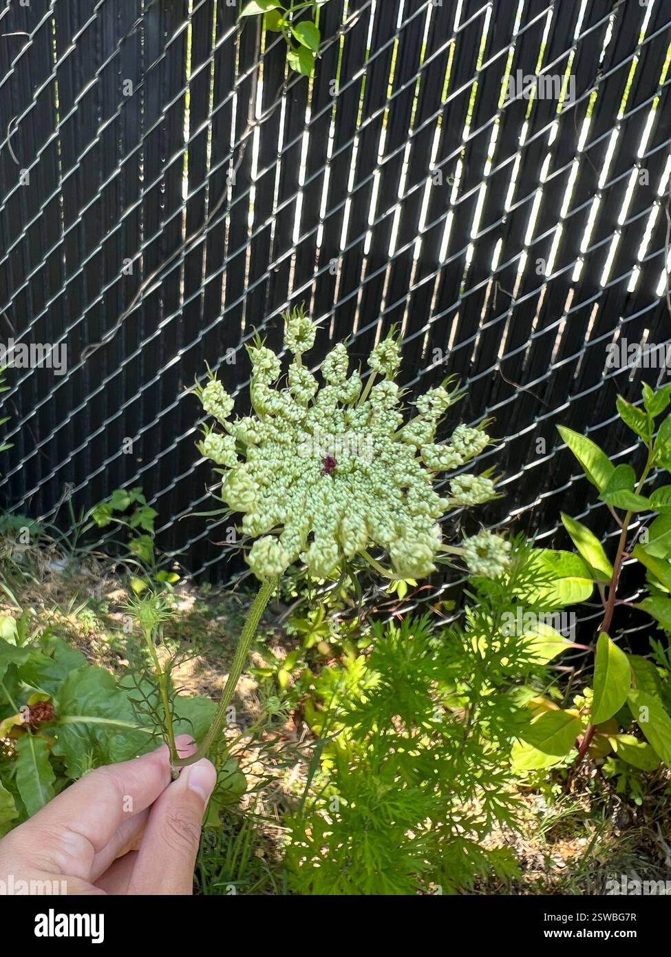 Kresson hi-res stock photography and images - Alamy