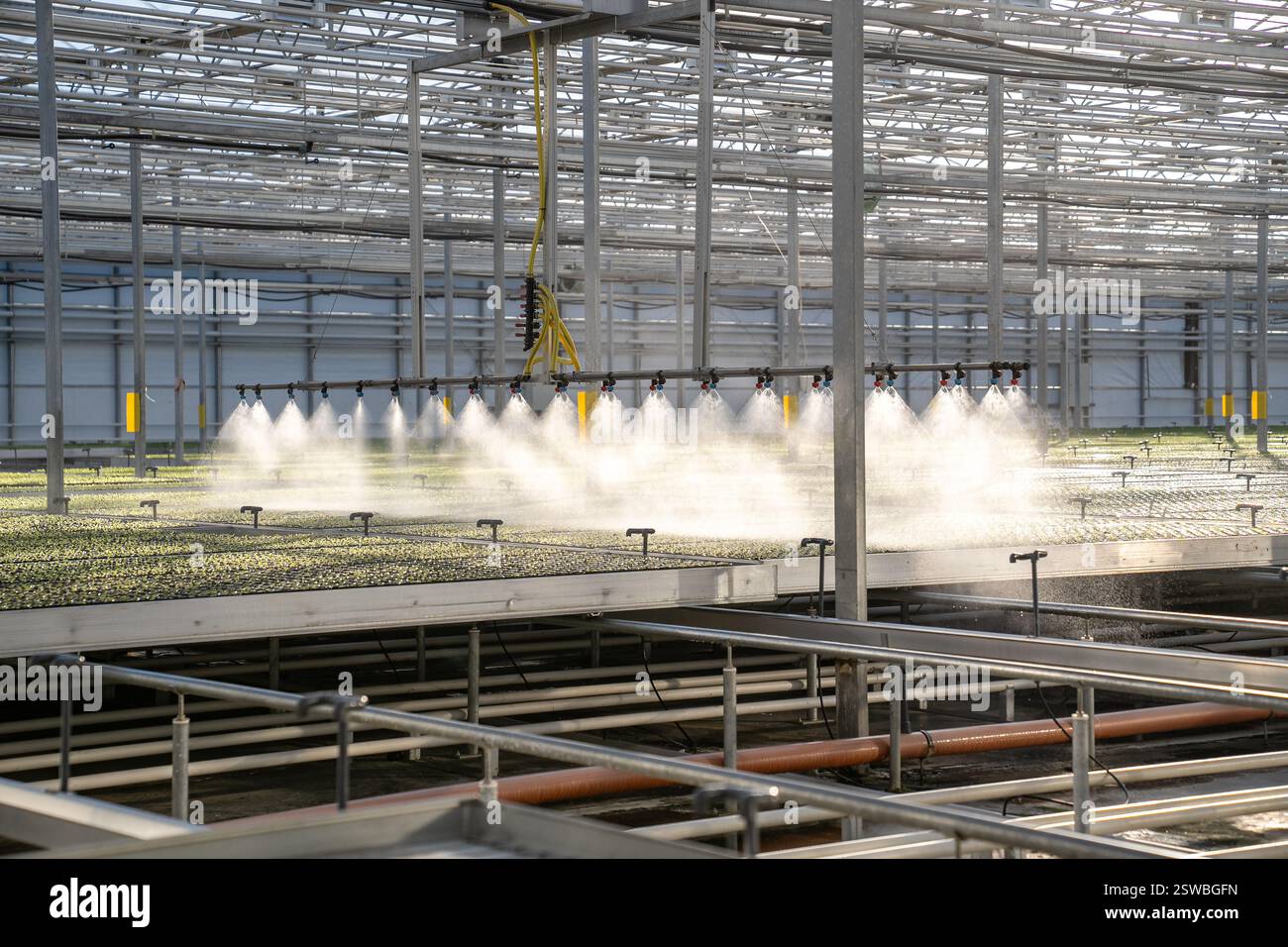 Automated irrigation with water misting in greenhouse facility ...