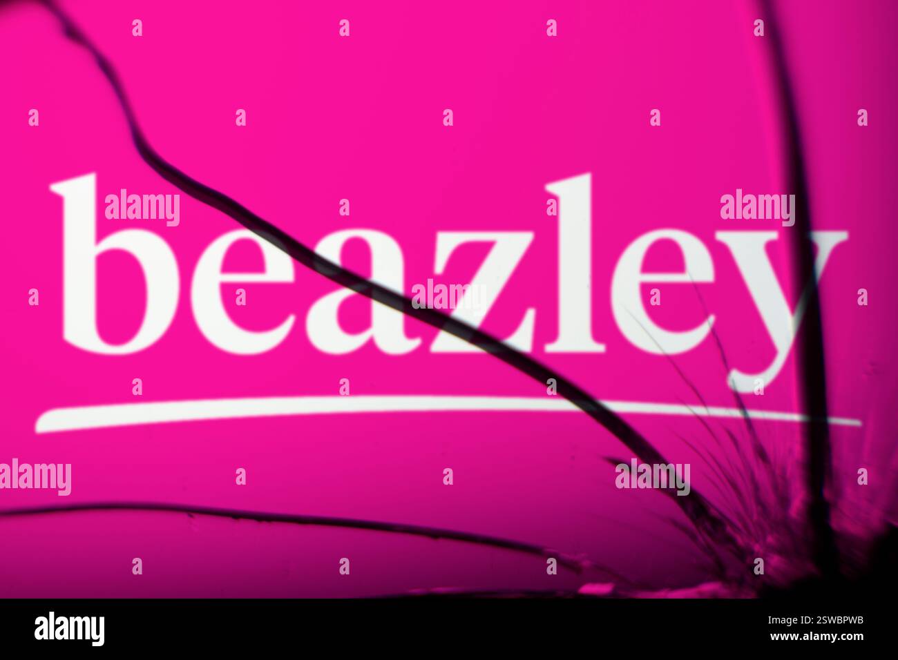 Dhaka, Bangladesh- 30 Nov 2024: Beazley logo is visible on the broekn ...