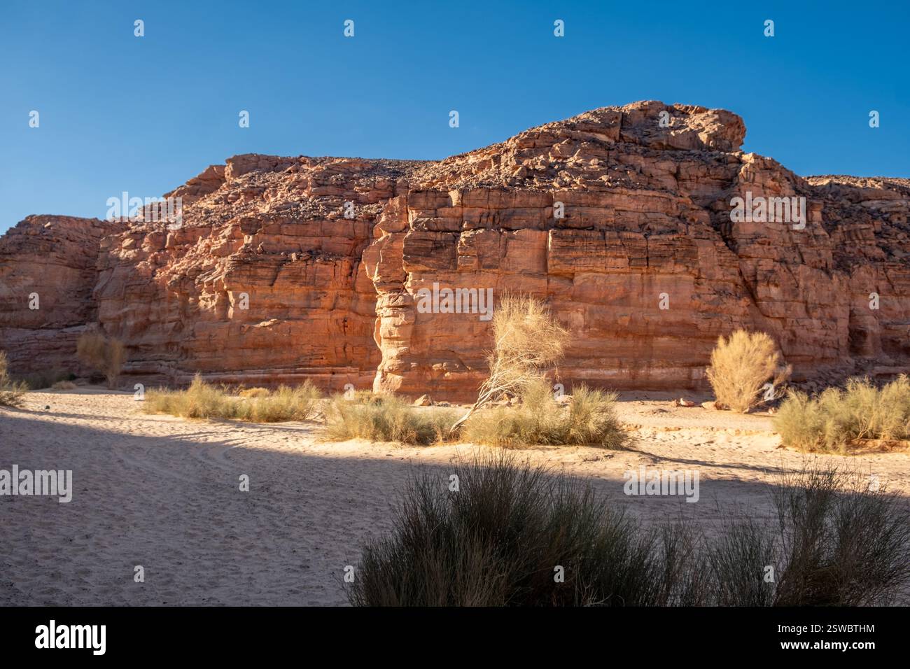 Expansive view of Sinai desert showcasing barren cliffs and sparse ...