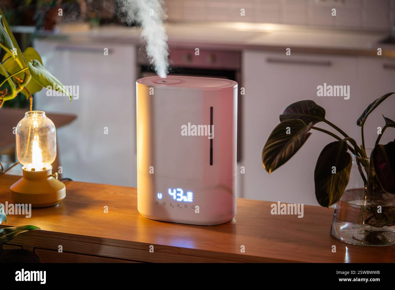 Air humidifier at home closeup, steam illuminated by table lamp Stock ...