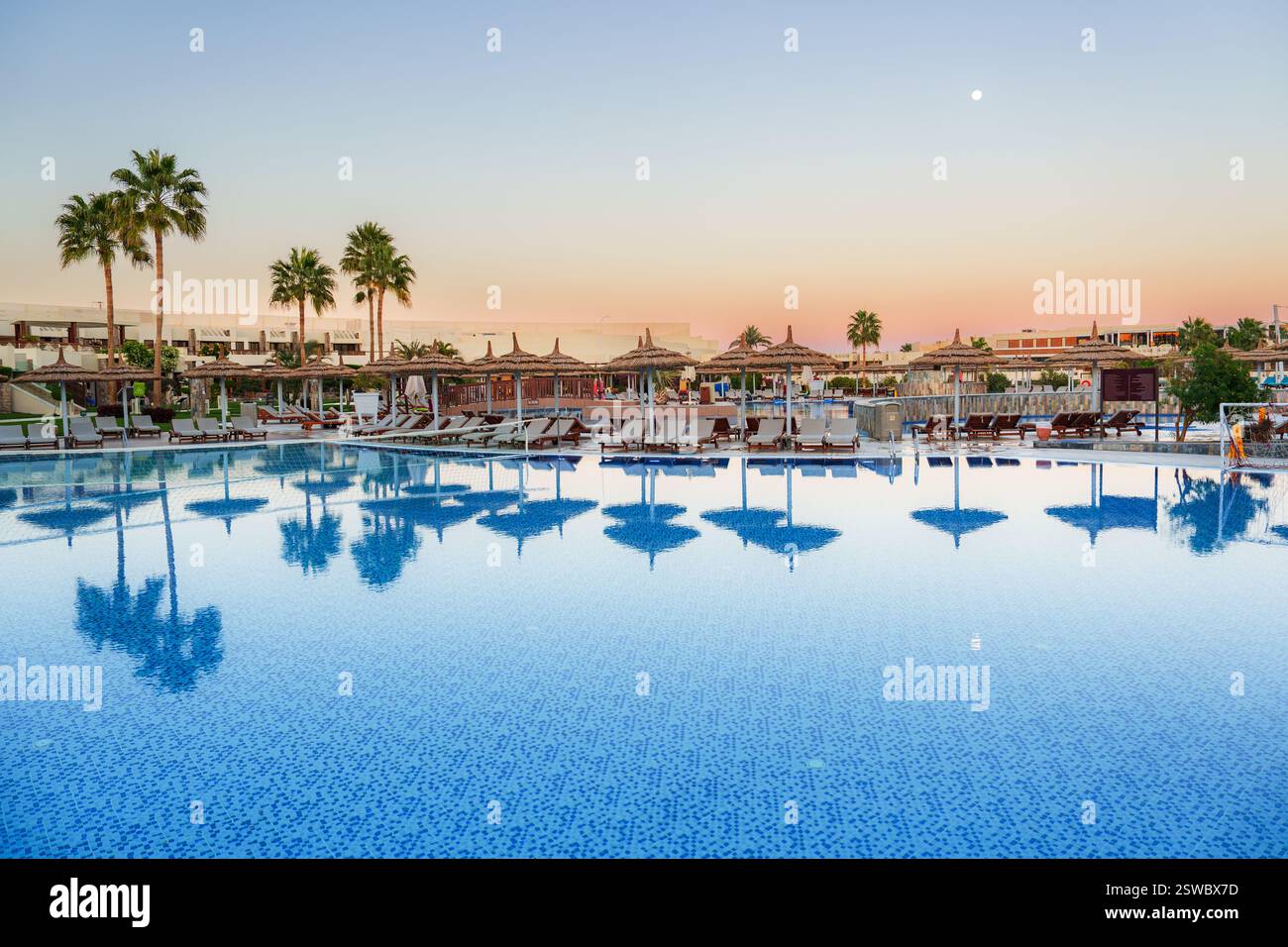 Relaxing evening at a tranquil poolside resort featuring palm trees and ...