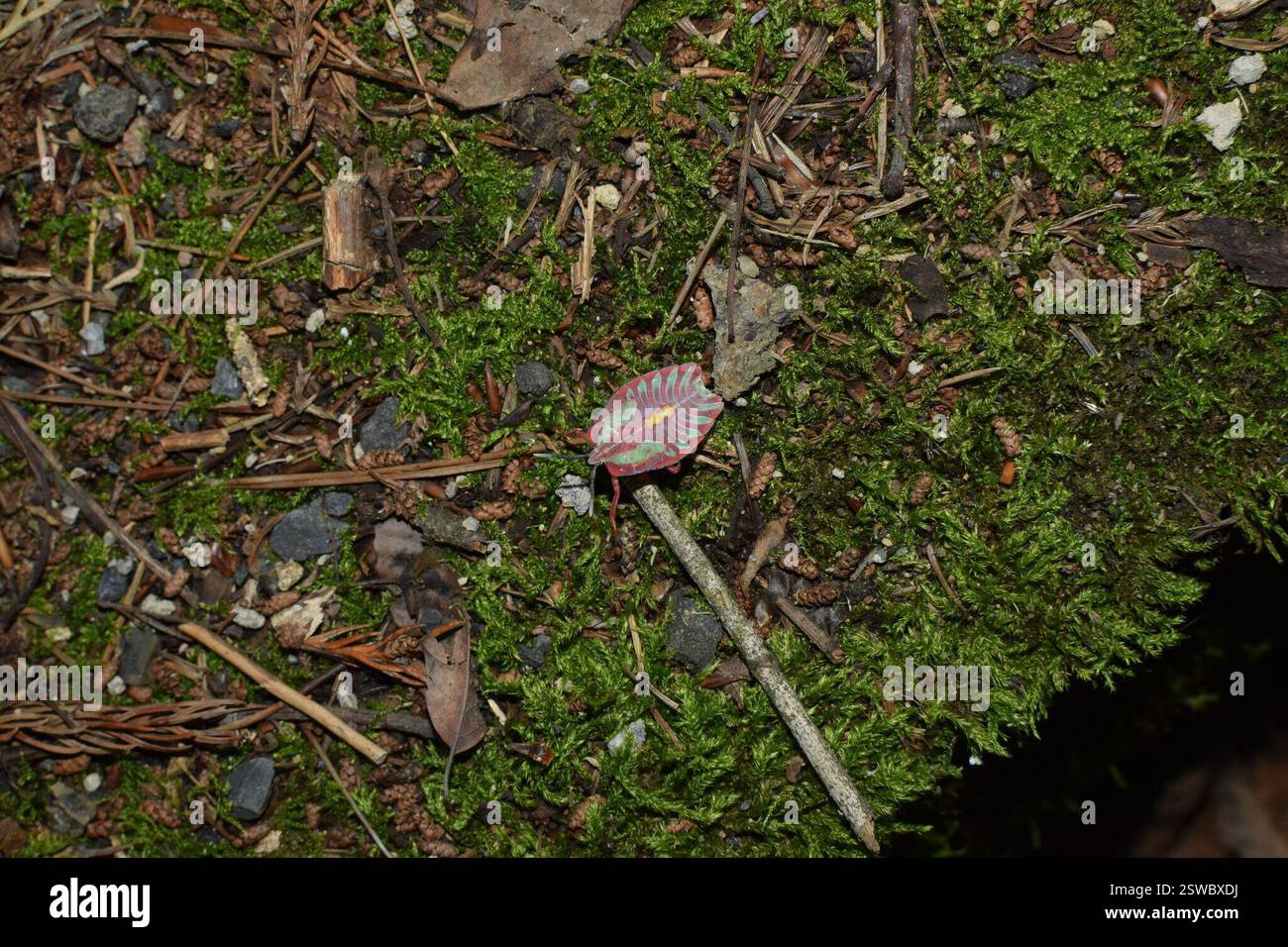 Eurostus hi-res stock photography and images - Alamy