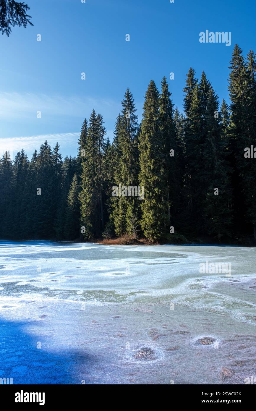 Frozen lake nestled amidst a serene evergreen forest under a clear blue ...