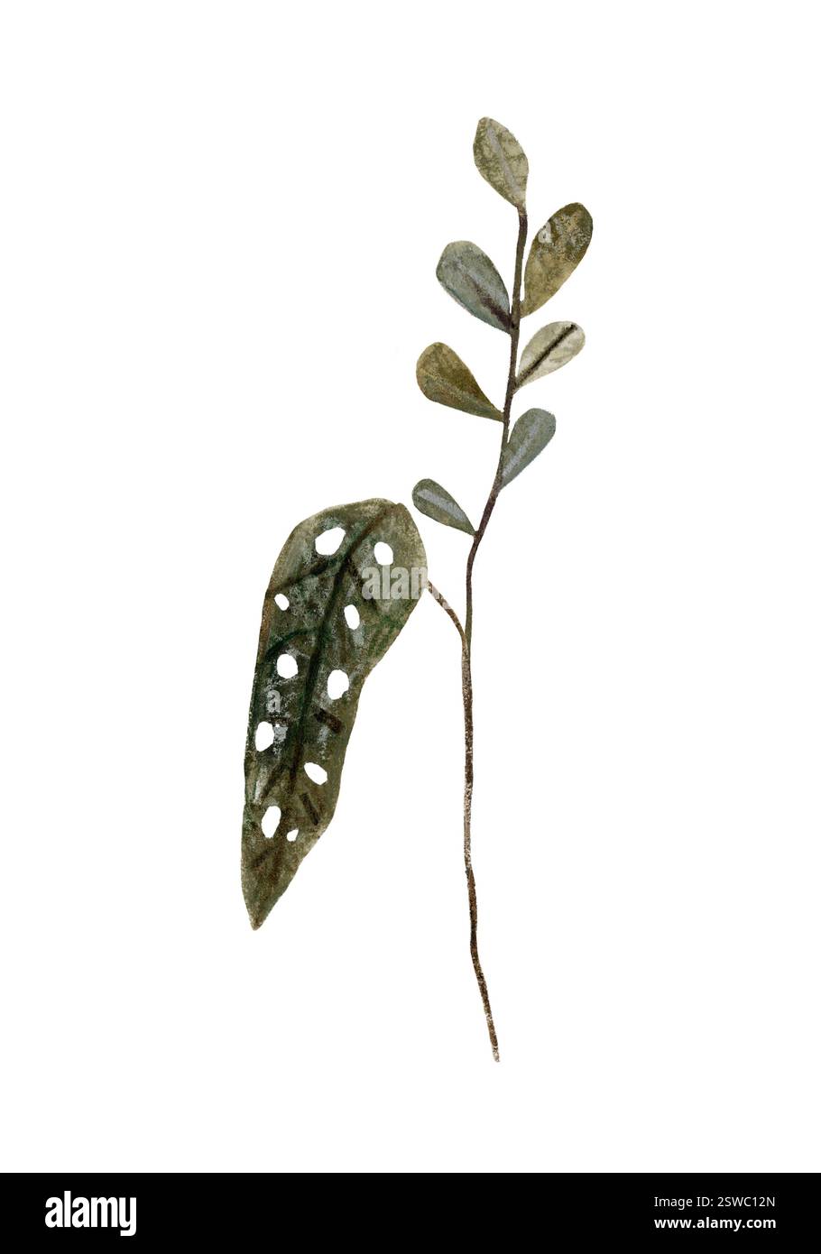 Set of simple green leaves in earthy colors. Watercolor and pencil hand ...