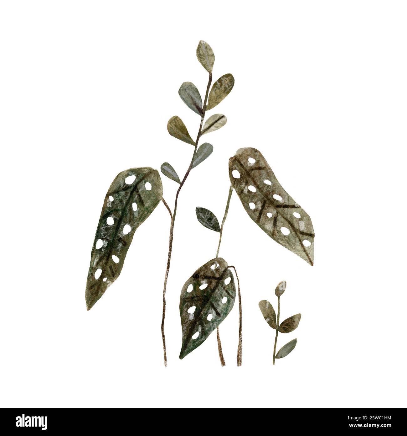 Set of simple green leaves in earthy colors. Watercolor and pencil hand ...