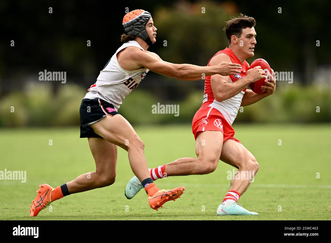 Sydney, Australia. 21st Feb, 2025. Errol Gulden of the Swans contests ...