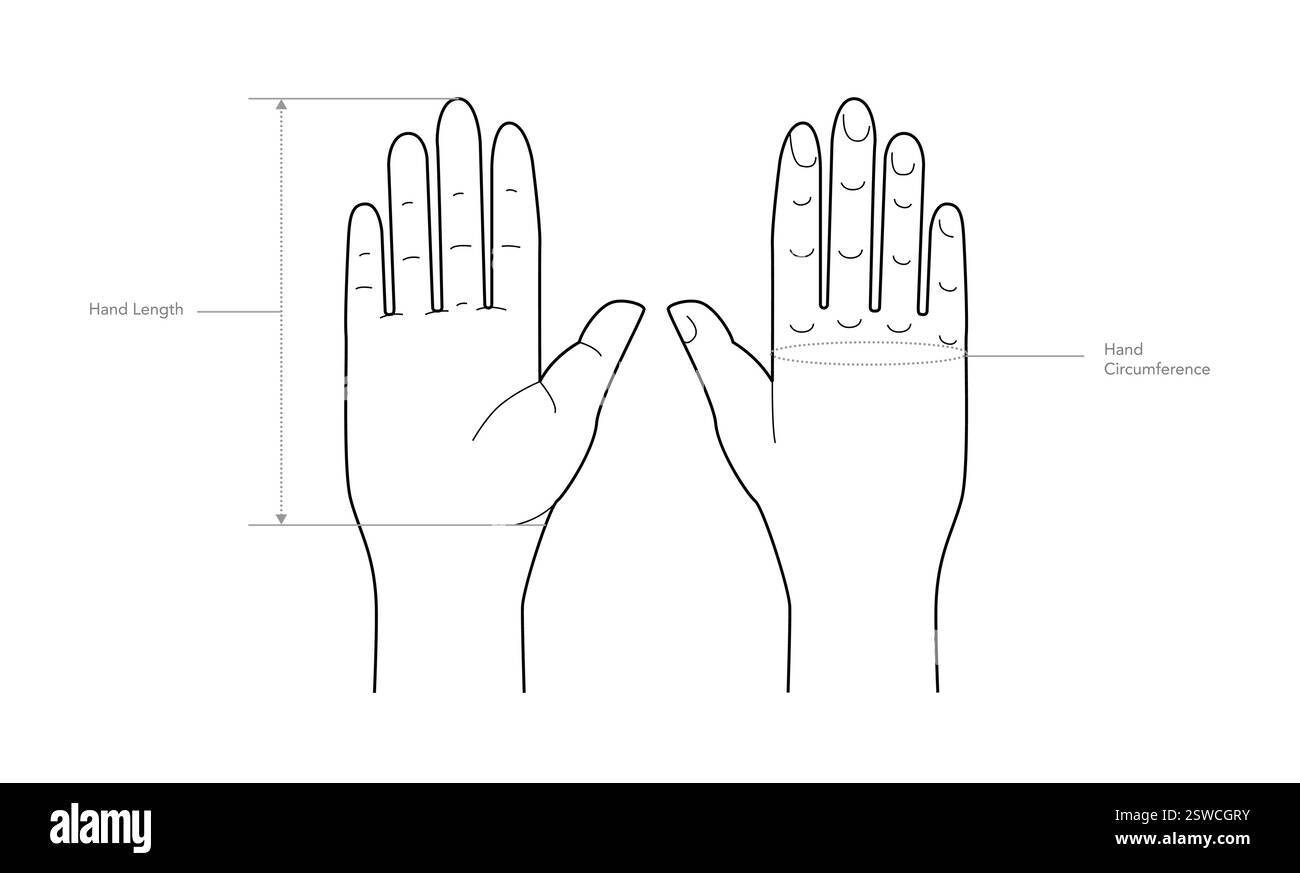 Diagram of measuring hands for Gloves, mittens, mitts Fashion accessory ...