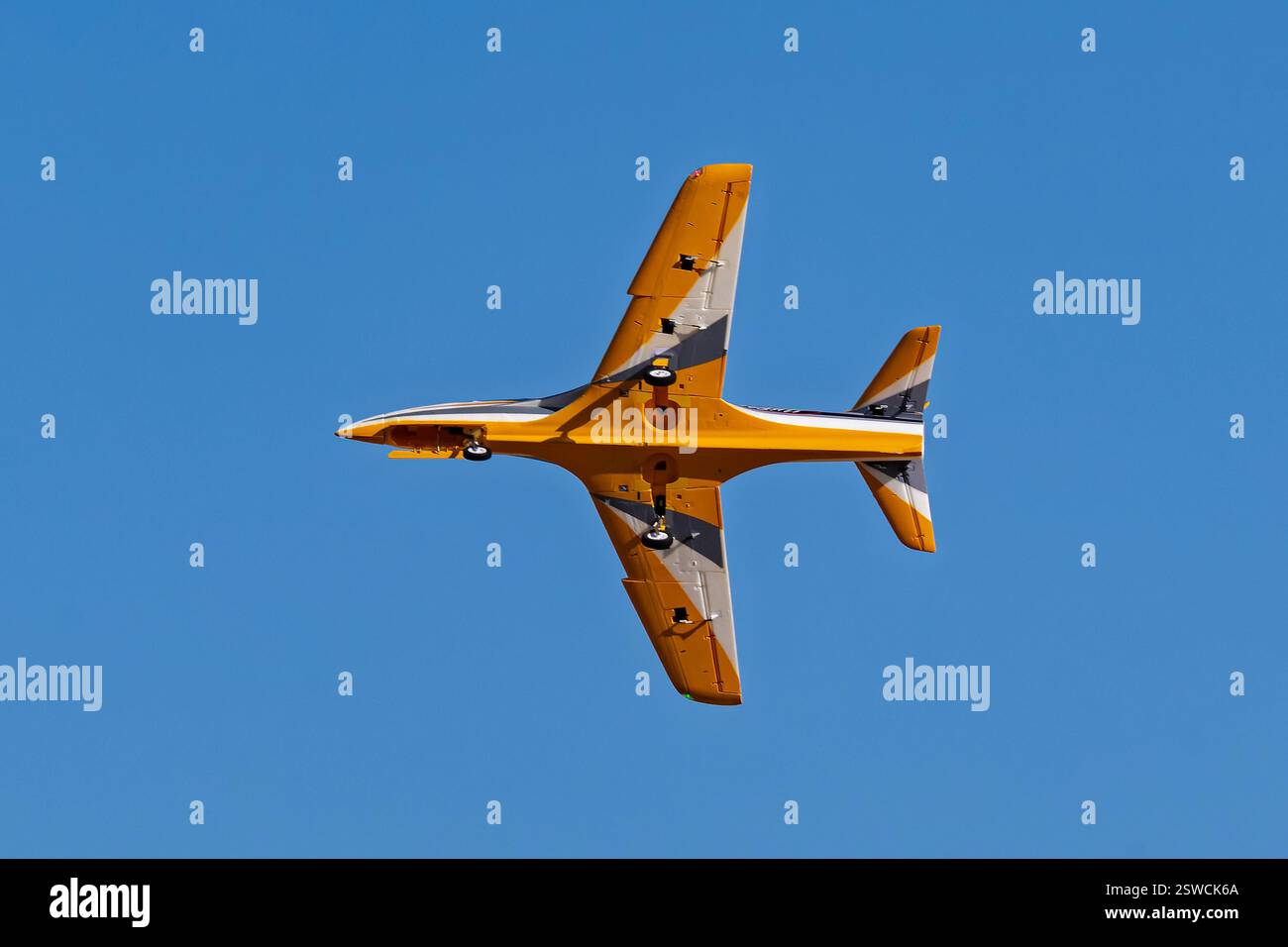 AMPS RC Park 2-15-2025 Phoenix, AZ, USA Freewing Avanti S radio ...