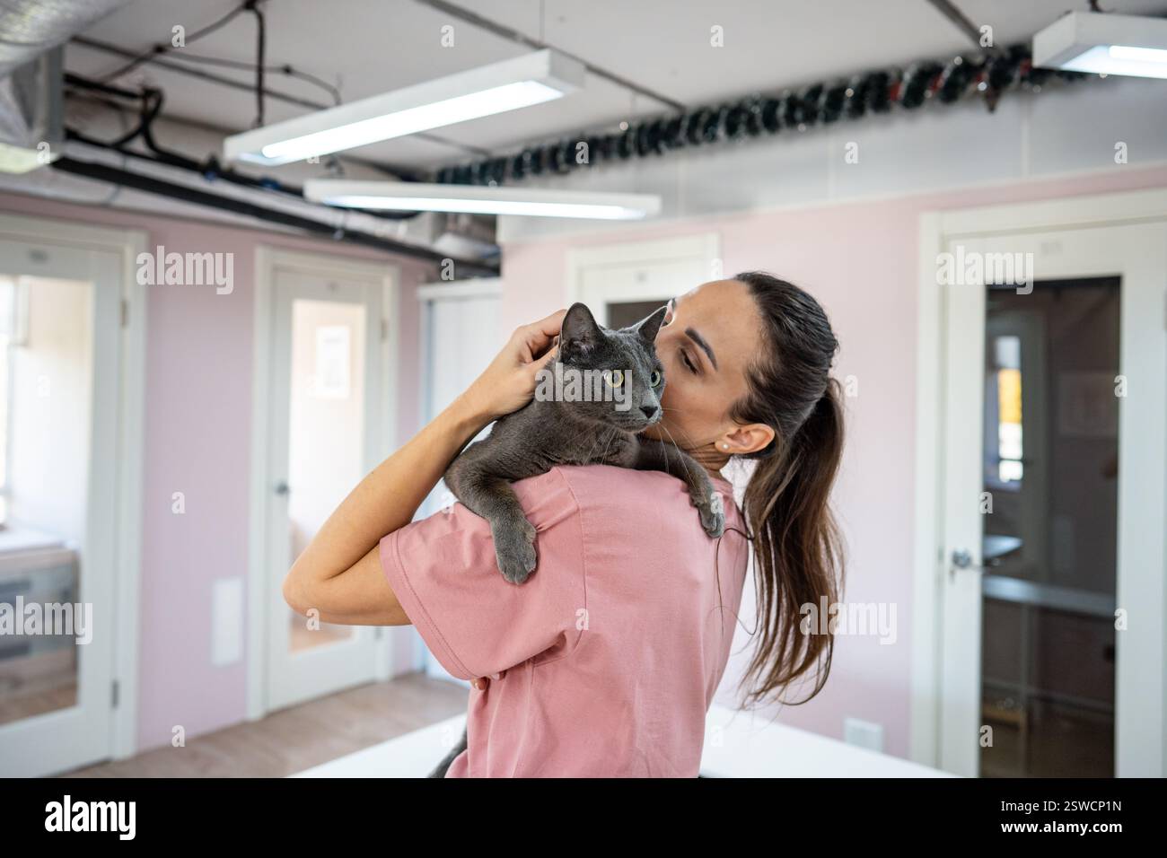 Woman sitter gently carry and embrace cat during stay at pet hotel. Pet ...