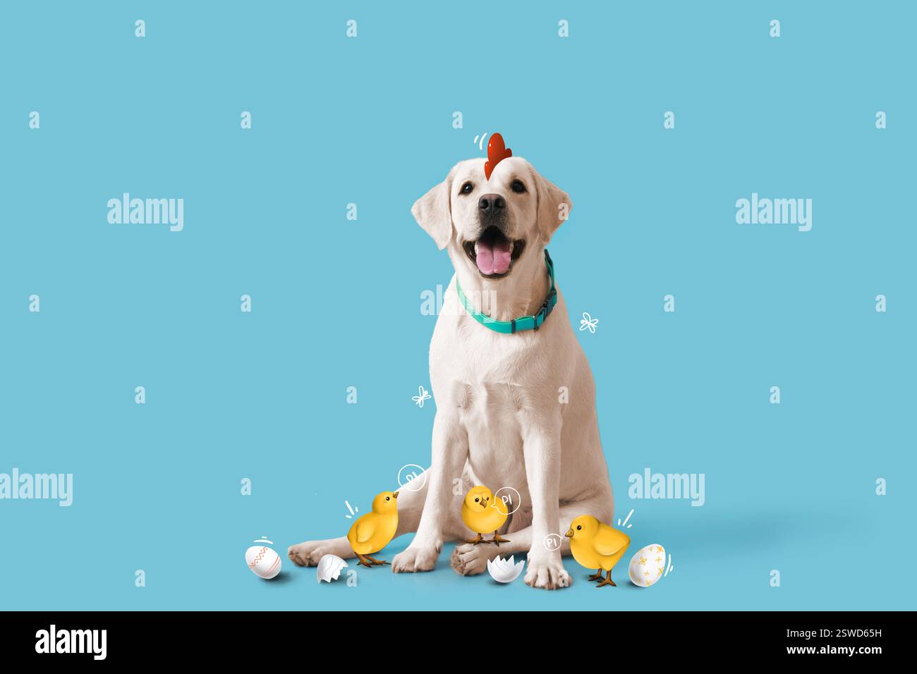 Labrador dog and cute chickens on light blue background Stock Photo - Alamy