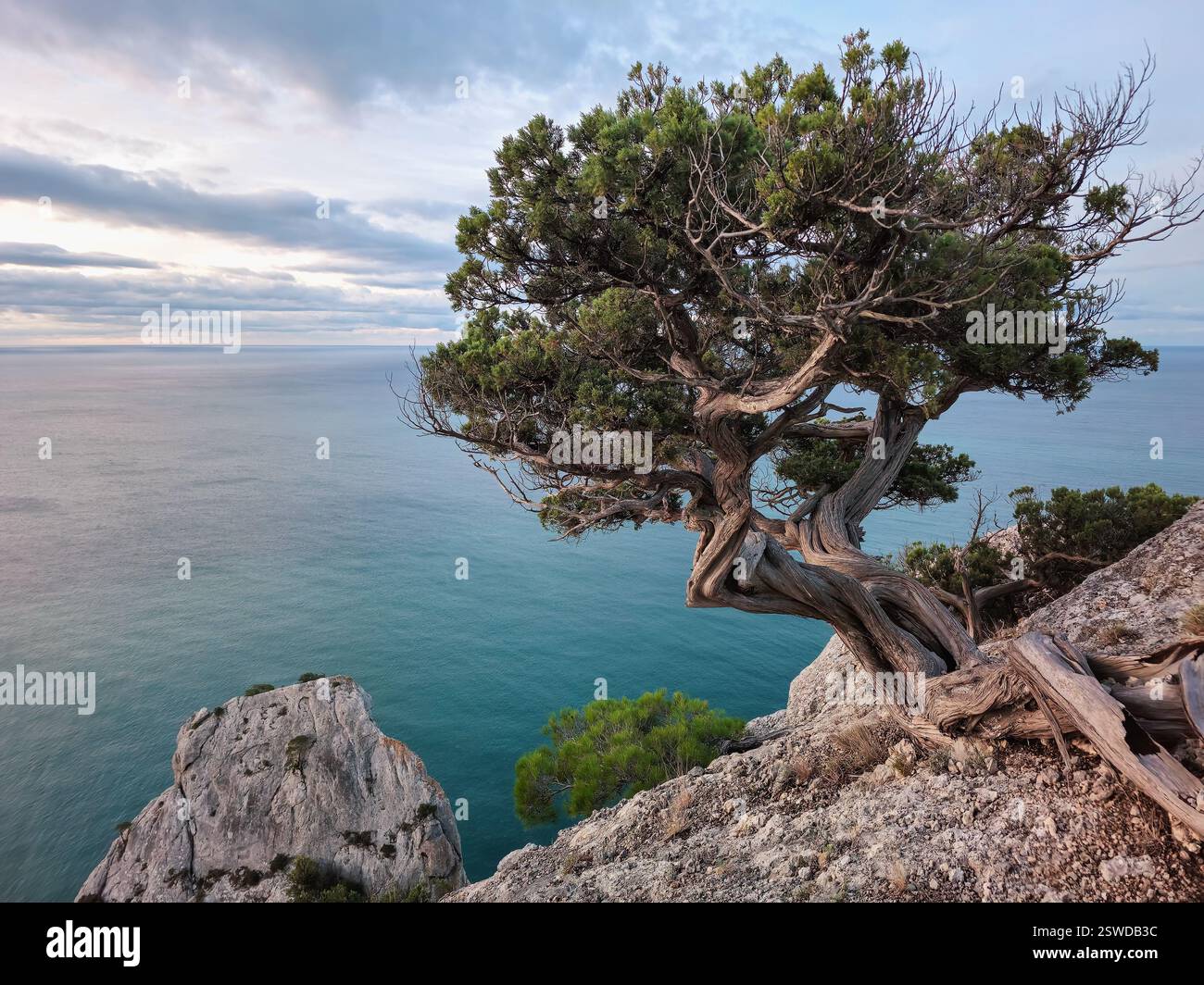 Spectacular cliff hi-res stock photography and images - Alamy