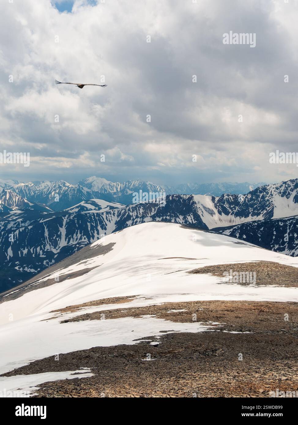 Bright atmospheric scenery on top of mountain ridge above clouds in ...
