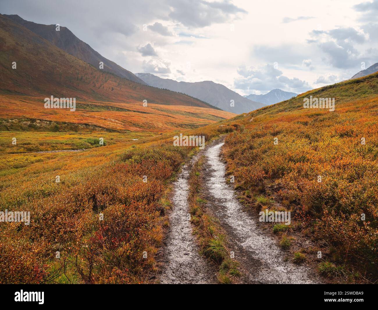 Wet off road through the rainy summer mountain plateau. Terrible ...