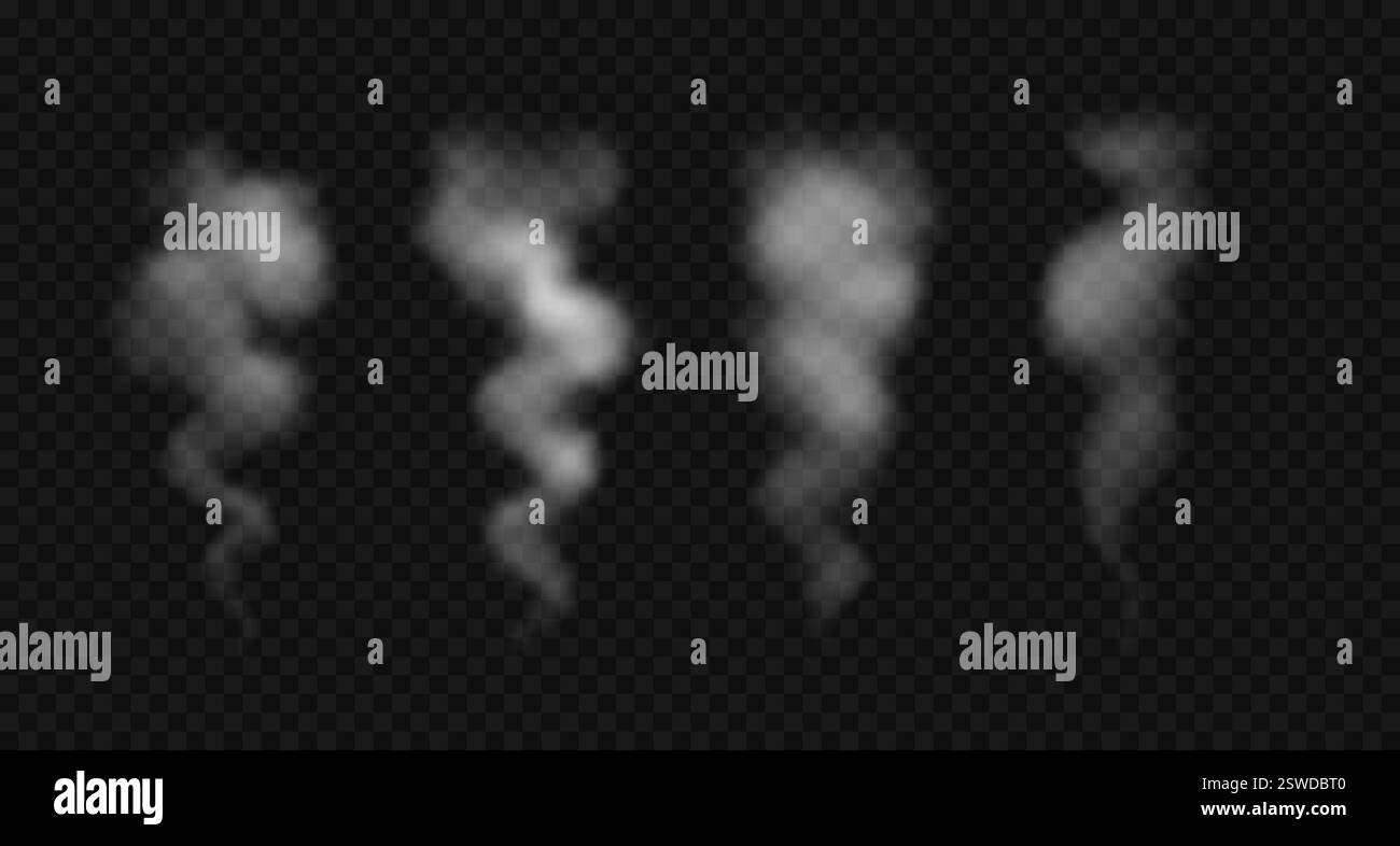 Vector white, realistic mist, vapor, steam, haze Stock Vector Image ...