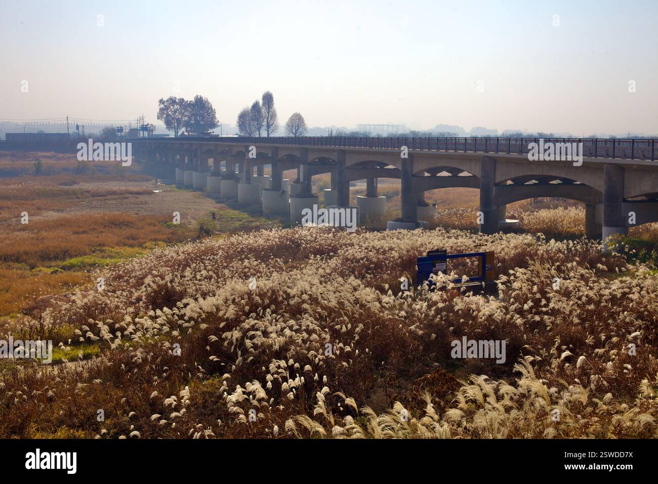 Cheongju, South Korea - November 11, 2020: A long concrete bridge spans ...