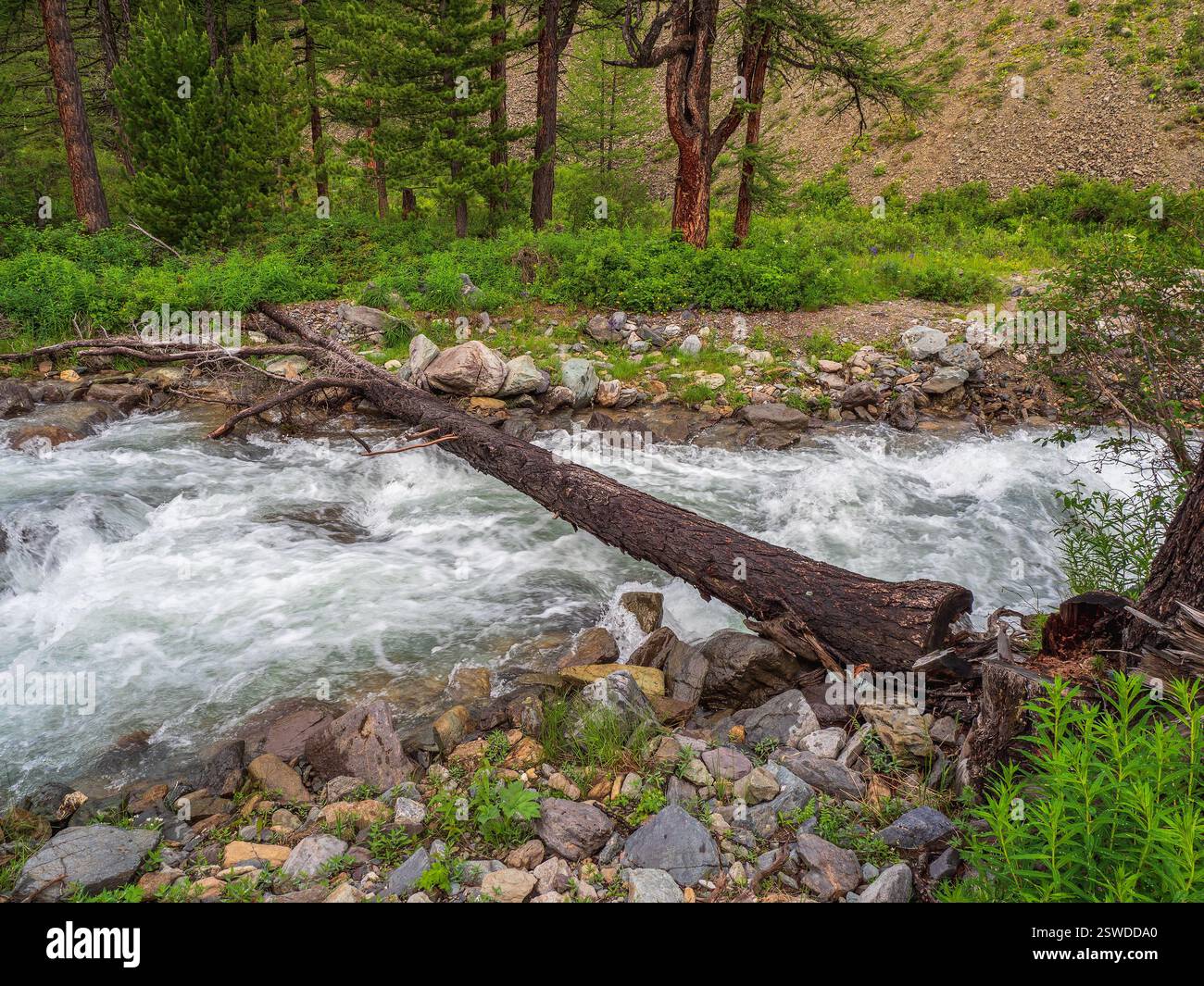 Bridge [river crossing] stream hi-res stock photography and images - Alamy