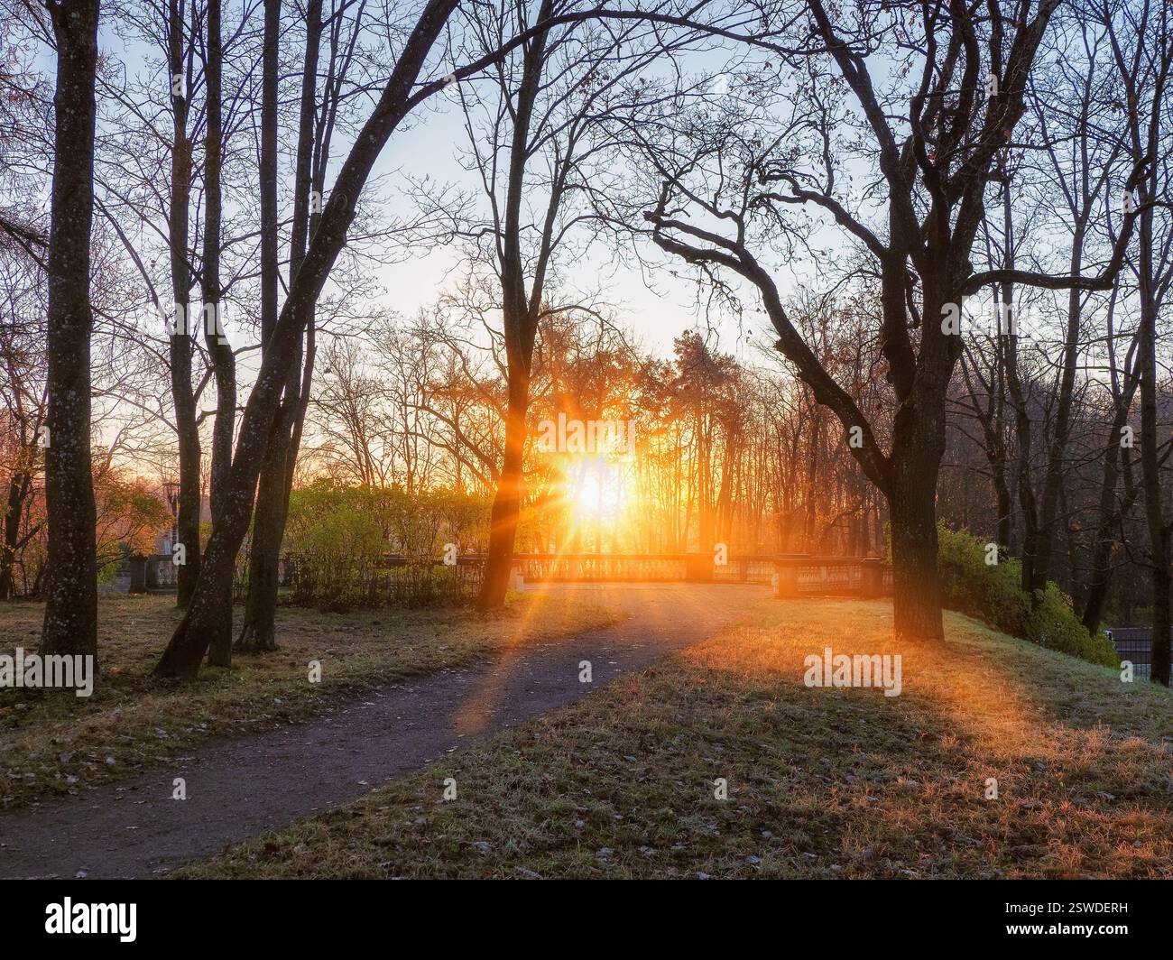 The sun's rays in the morning park. Soft focus Stock Photo - Alamy