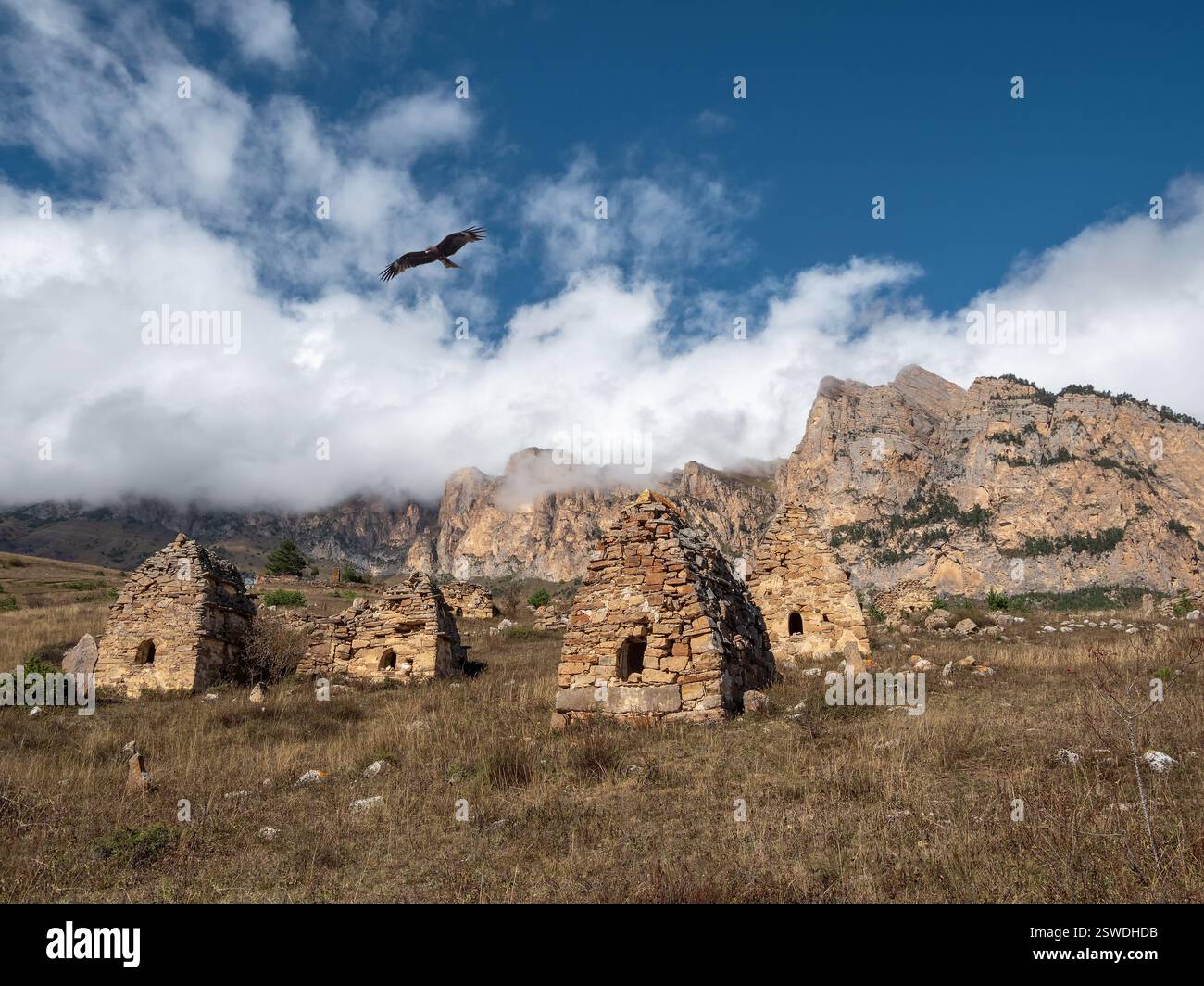 A kite flies over a grave crypt. Old stone tomb, a crypt on the top of ...