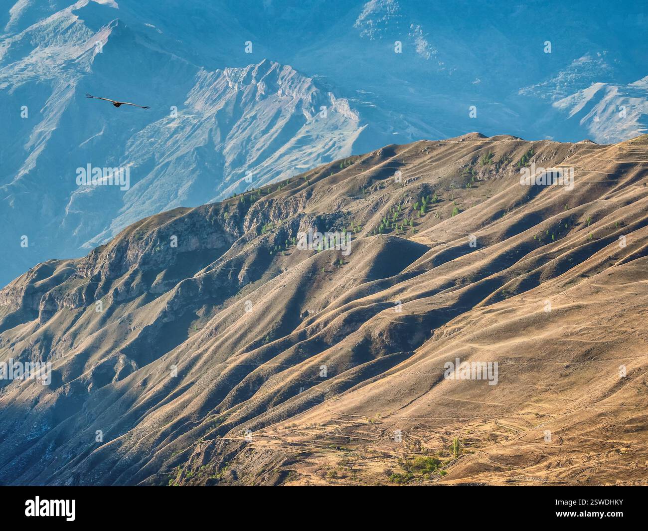 Mountain texture, mountain terrain. Dagestani hills from above Stock ...