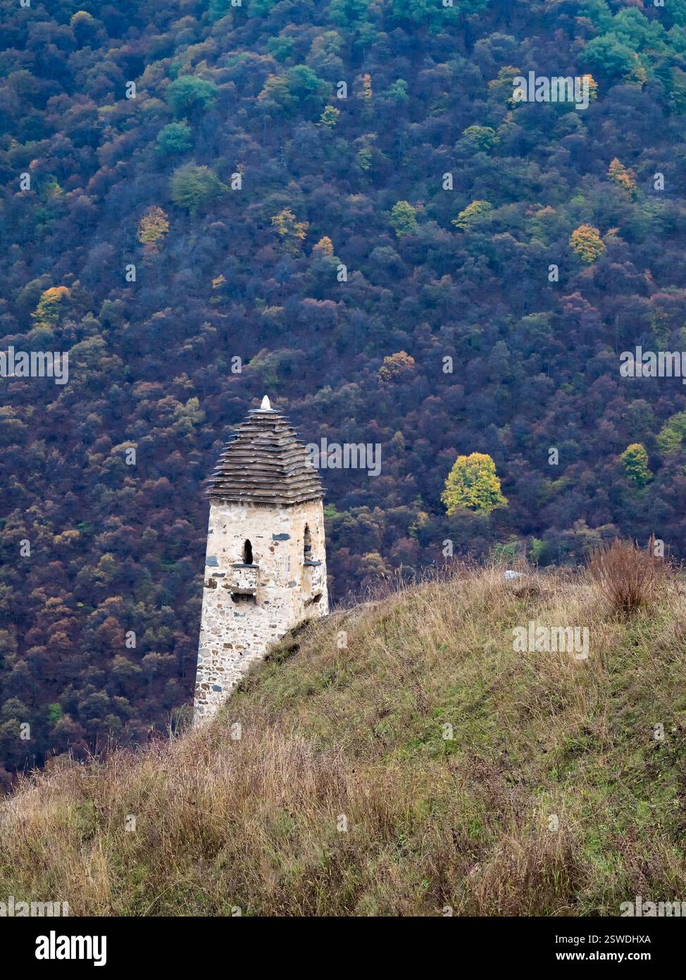 Battle towers Erzi in the Jeyrah gorge. Medieval tower complex Erzi ...