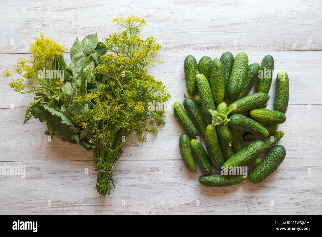 Canning cucumbers concept. Set of spices for pickling cucumbers for the ...