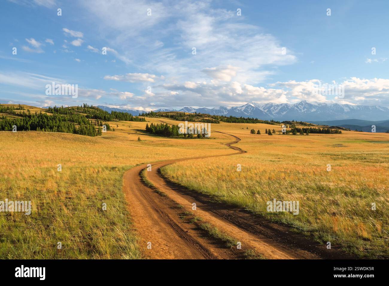 Beautiful sunlit green alpine field hi-res stock photography and images - Alamy