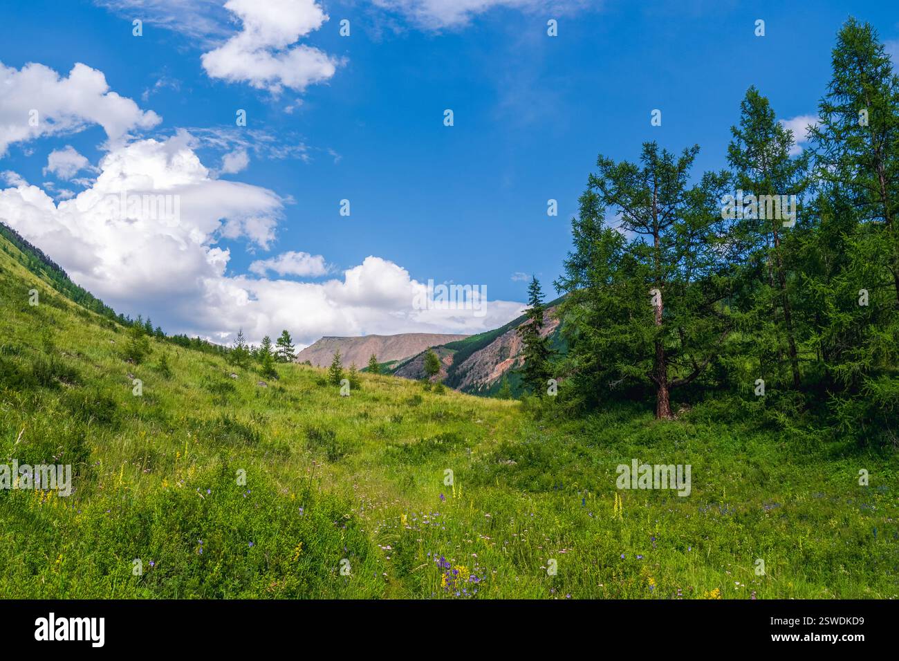 Summer landscape mountains green hi-res stock photography and images ...