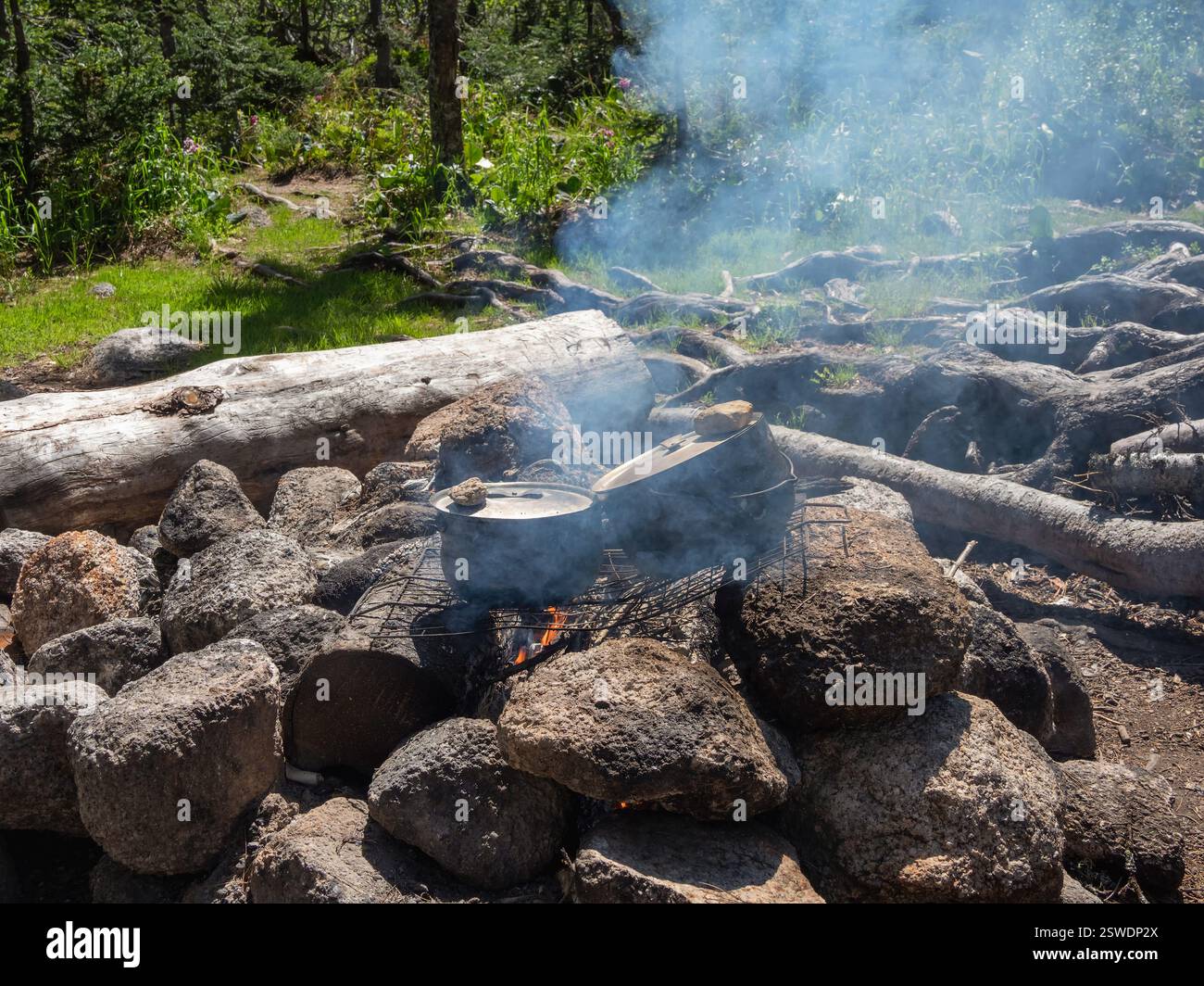 Camping lunch is cooked on a campfire in pots, in a forest camp Stock ...
