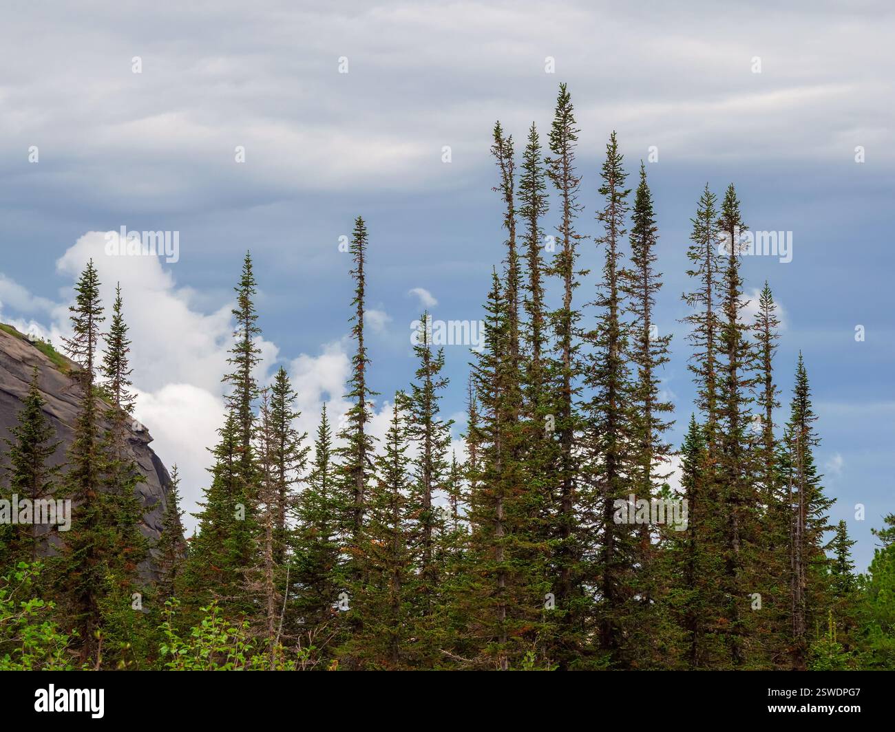 Wood overlook hi-res stock photography and images - Alamy