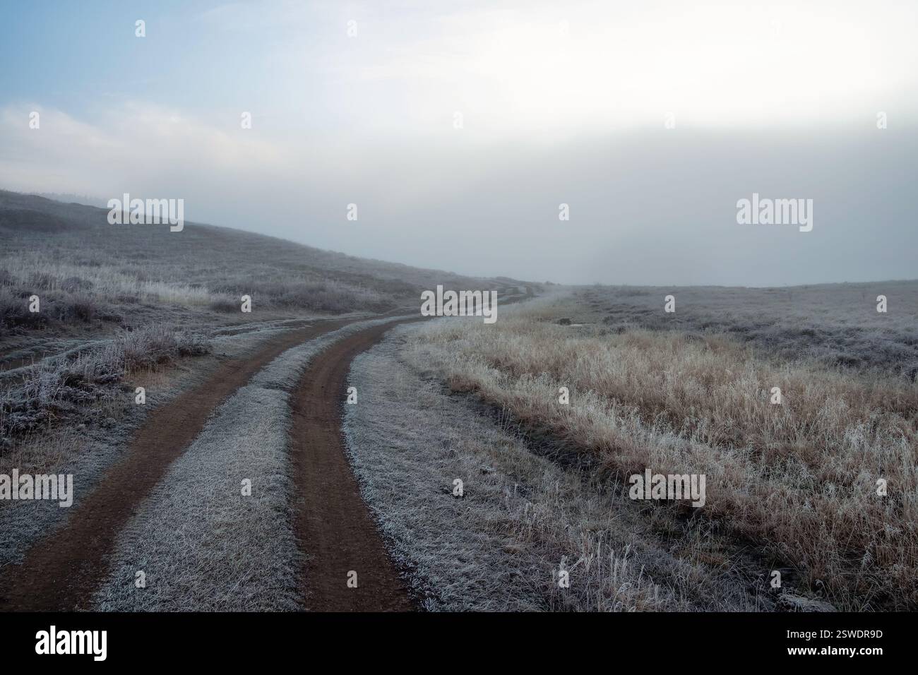 Morning dirt road through the foggy mountain plateau Stock Photo - Alamy
