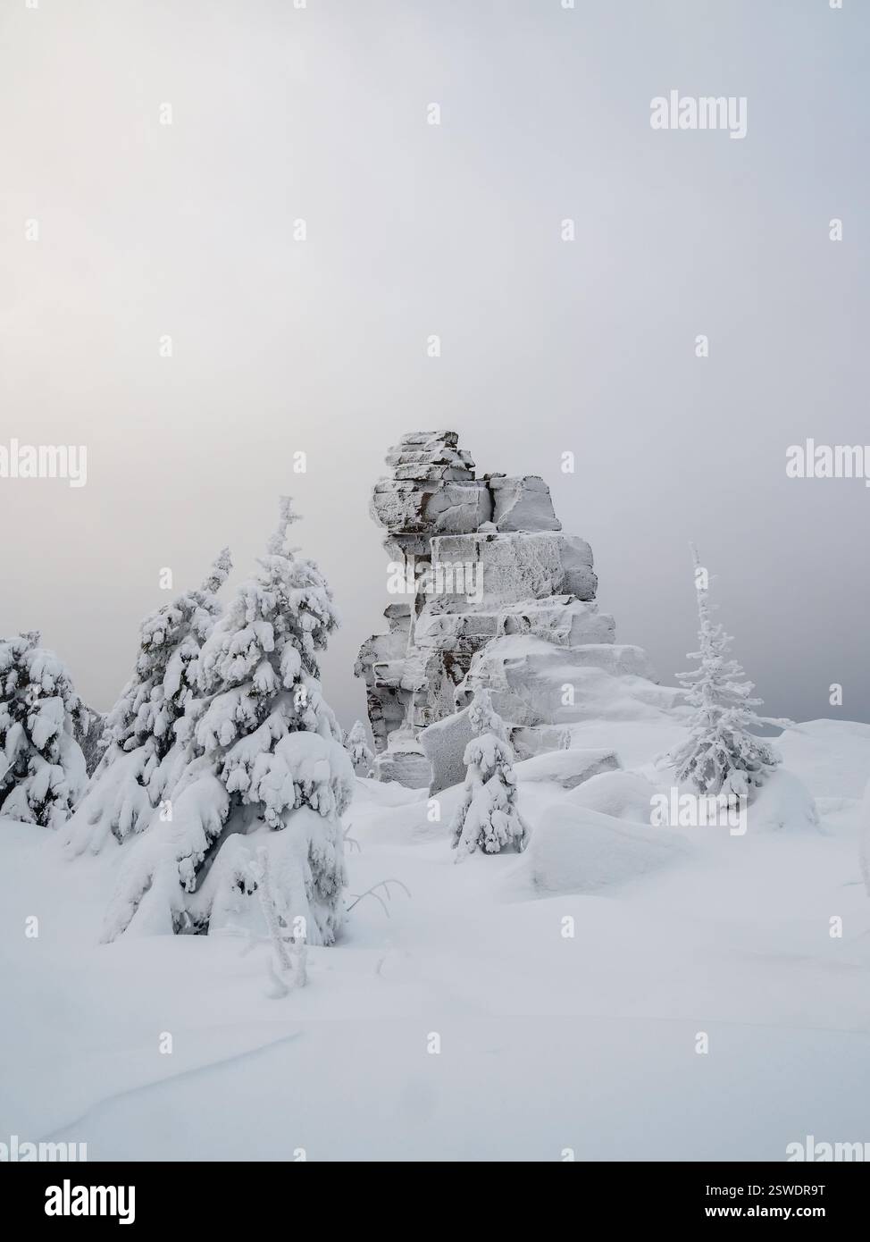 Rock cliff in winter forest is completely covered with hoarfrost Stock ...
