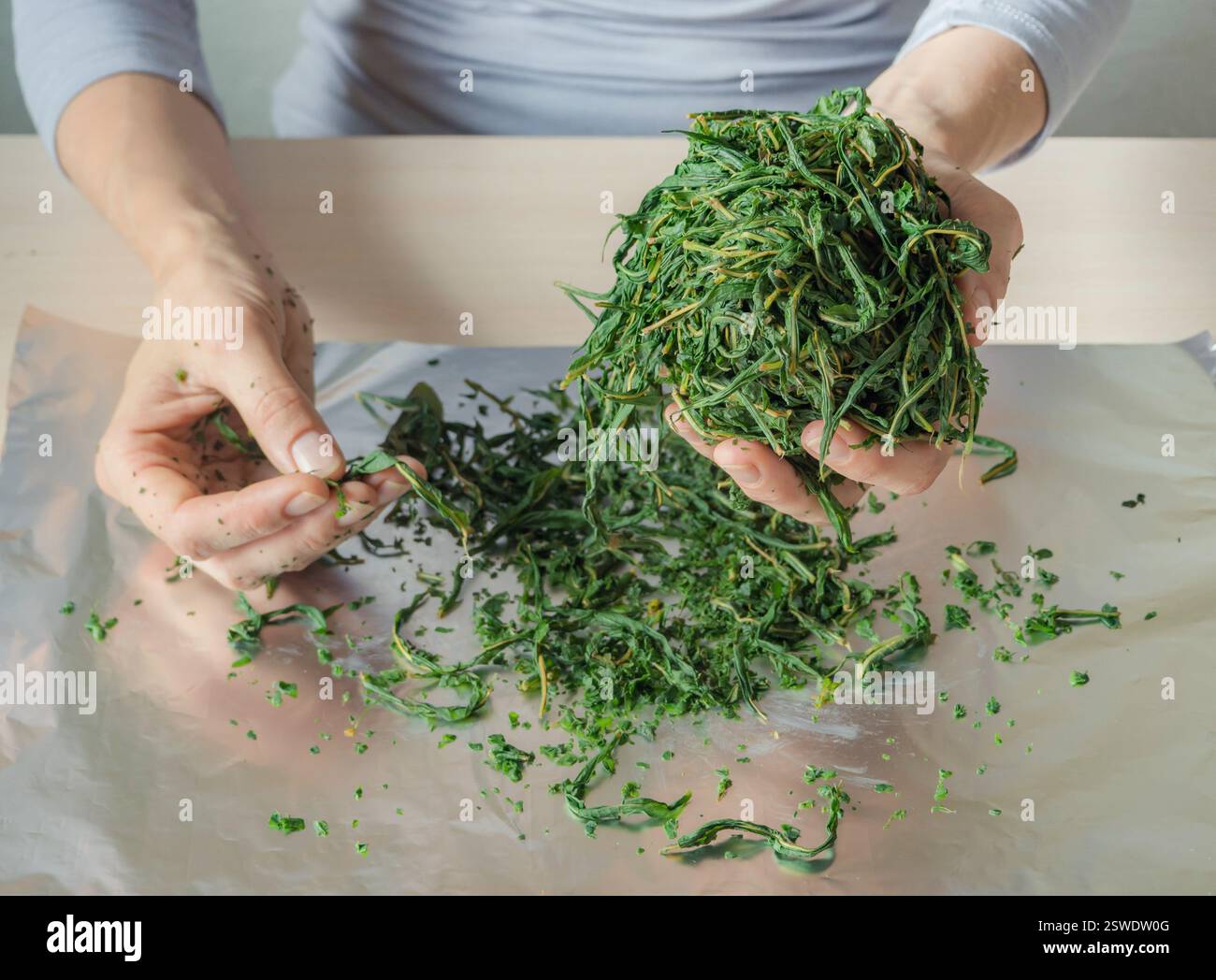 Fermentation process of tea leaves. Manual production Koporye Tea ...