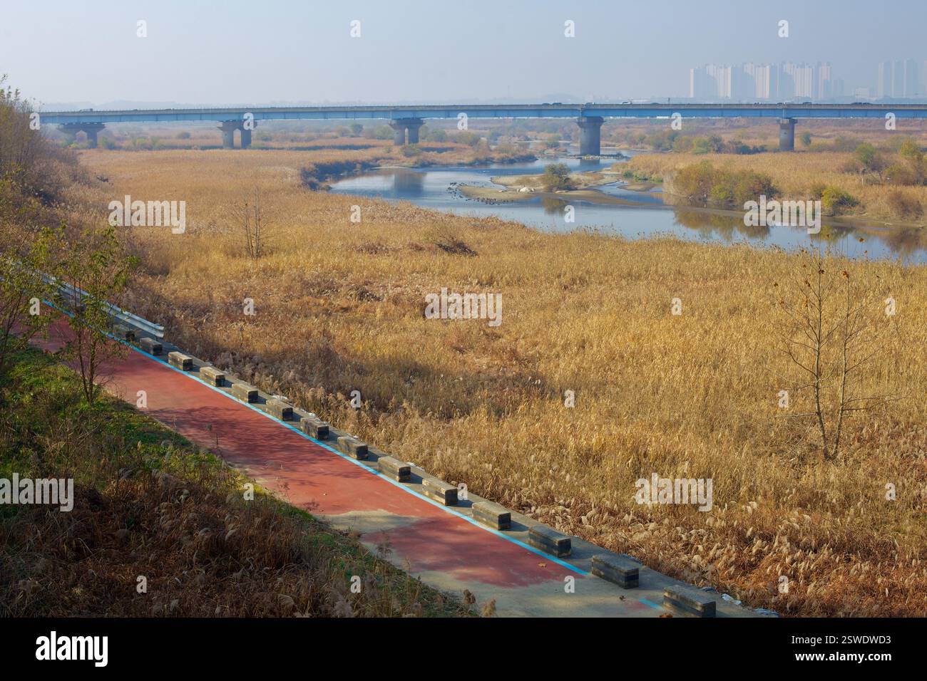 Cheongju, South Korea - November 11, 2020: The Ocheon Bicycle Path runs ...