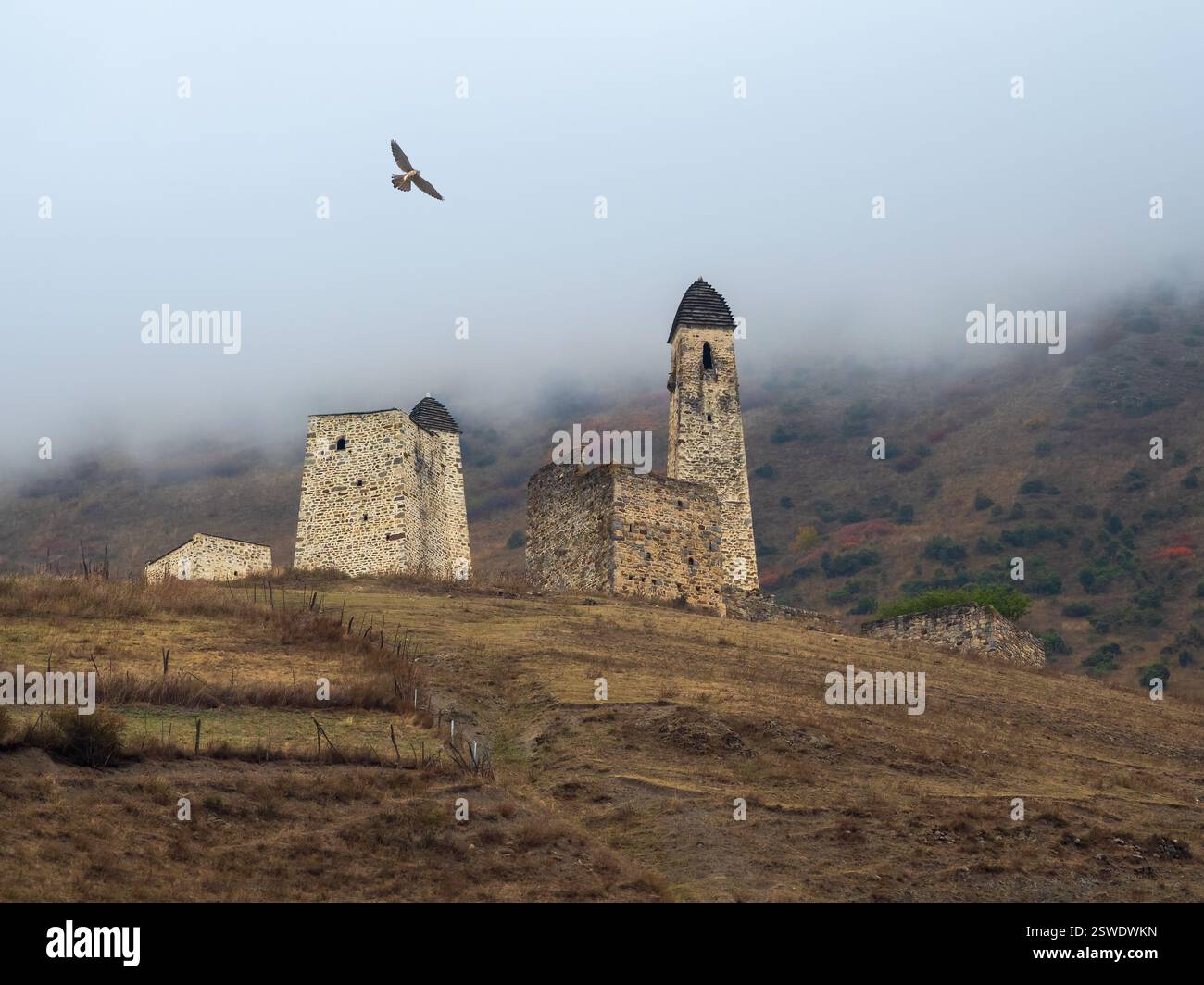 Battle towers Erzi in the Jeyrah gorge. Medieval tower complex Erzi ...