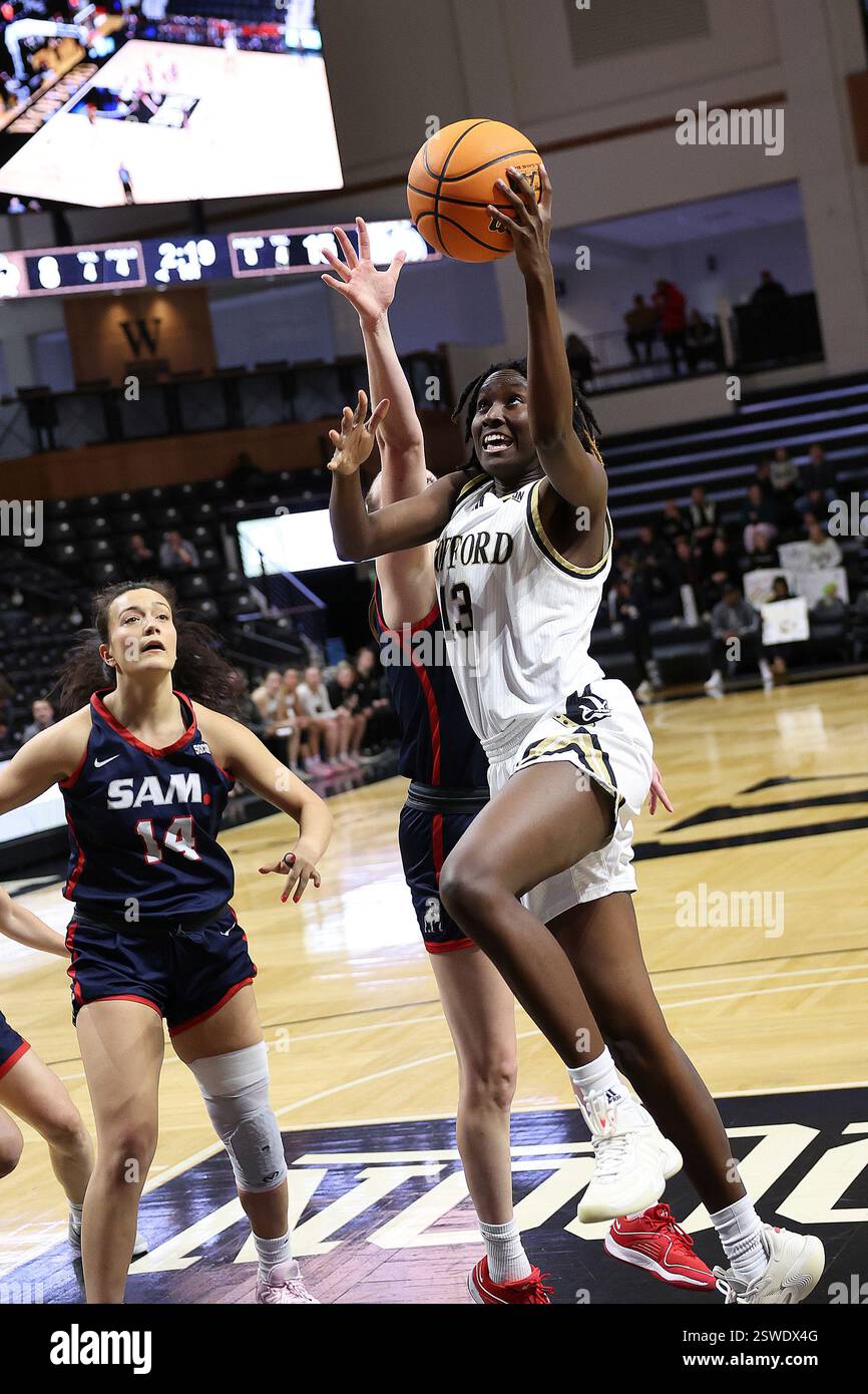 SPARTANBURG, SC - FEBRUARY 20: Wofford Terriers forward Toni Warren (13 ...