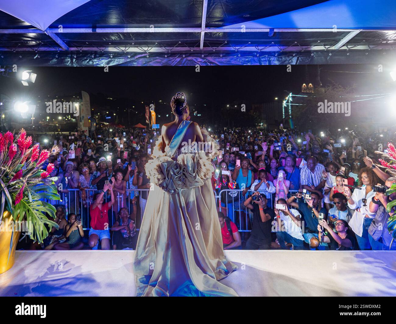 Parade Carnavalesque organisée par la ville de Fort-De-France en ...