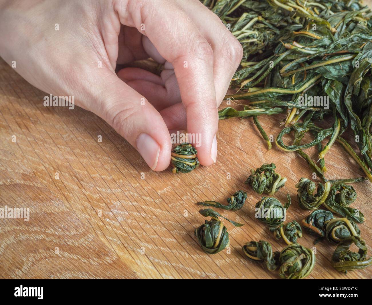 Manual twisting of tea leaves for fermentation. Ivan tea fermentation ...
