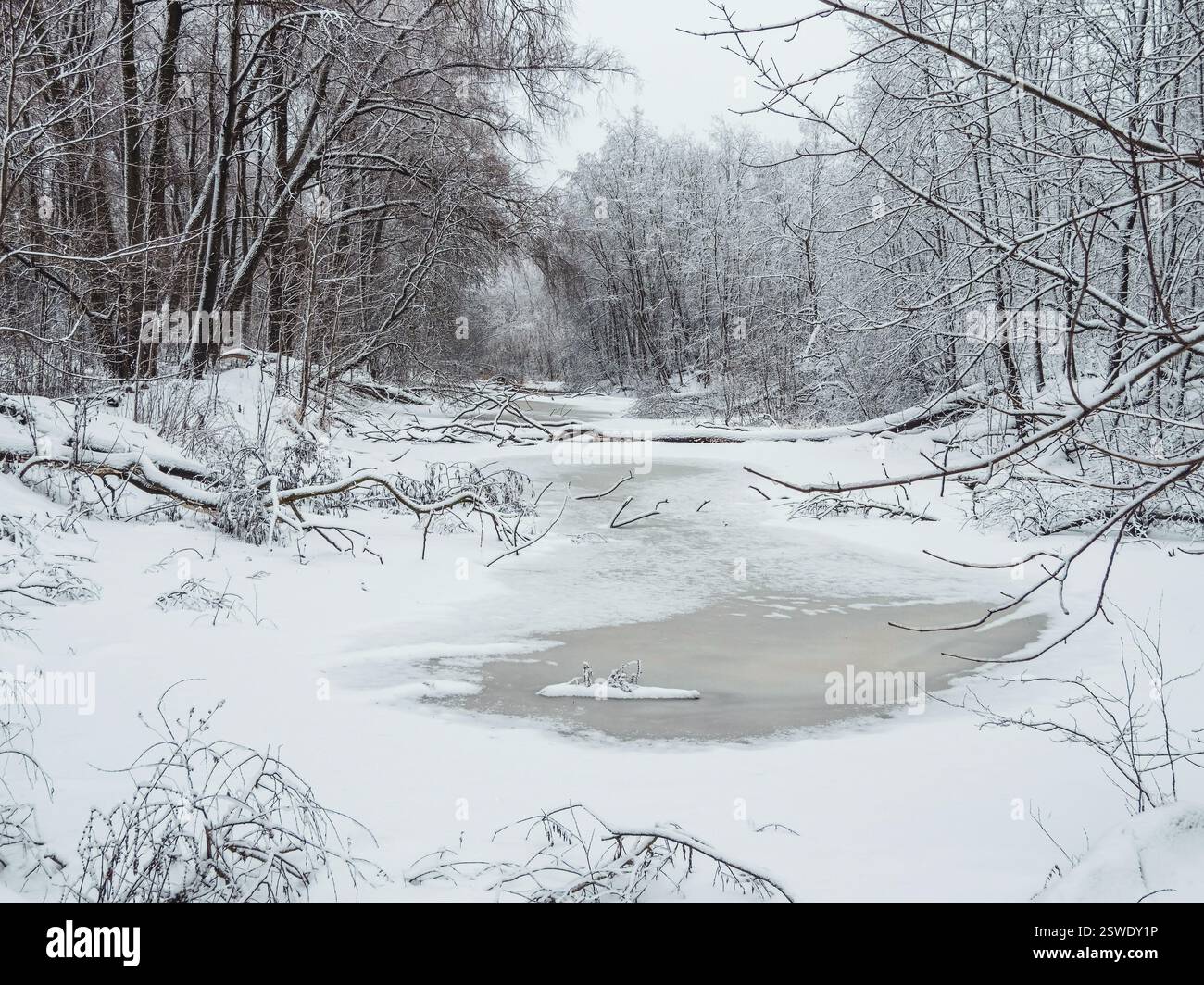 Early winter landscape. A freezing stream in a deep forest, everything ...
