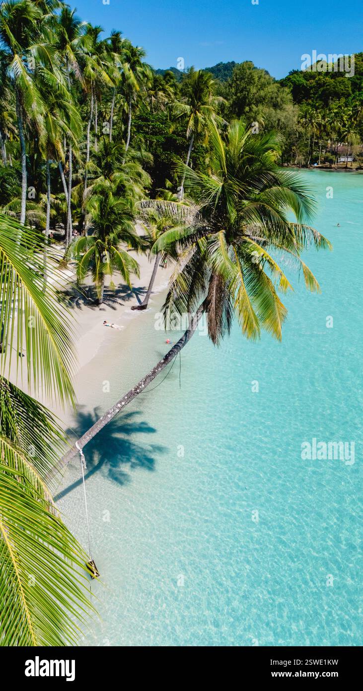 Koh kood resort coconut palms hi-res stock photography and images - Alamy
