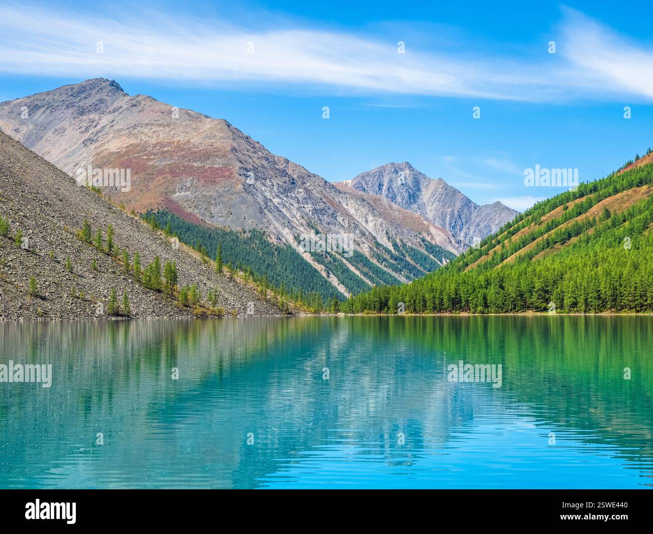 Colorful landscape with clear mountain lake in forest among fir trees ...