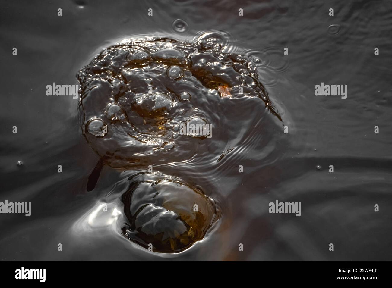 Gas bubbles caused by the accumulation and spoilage of sewage from ...