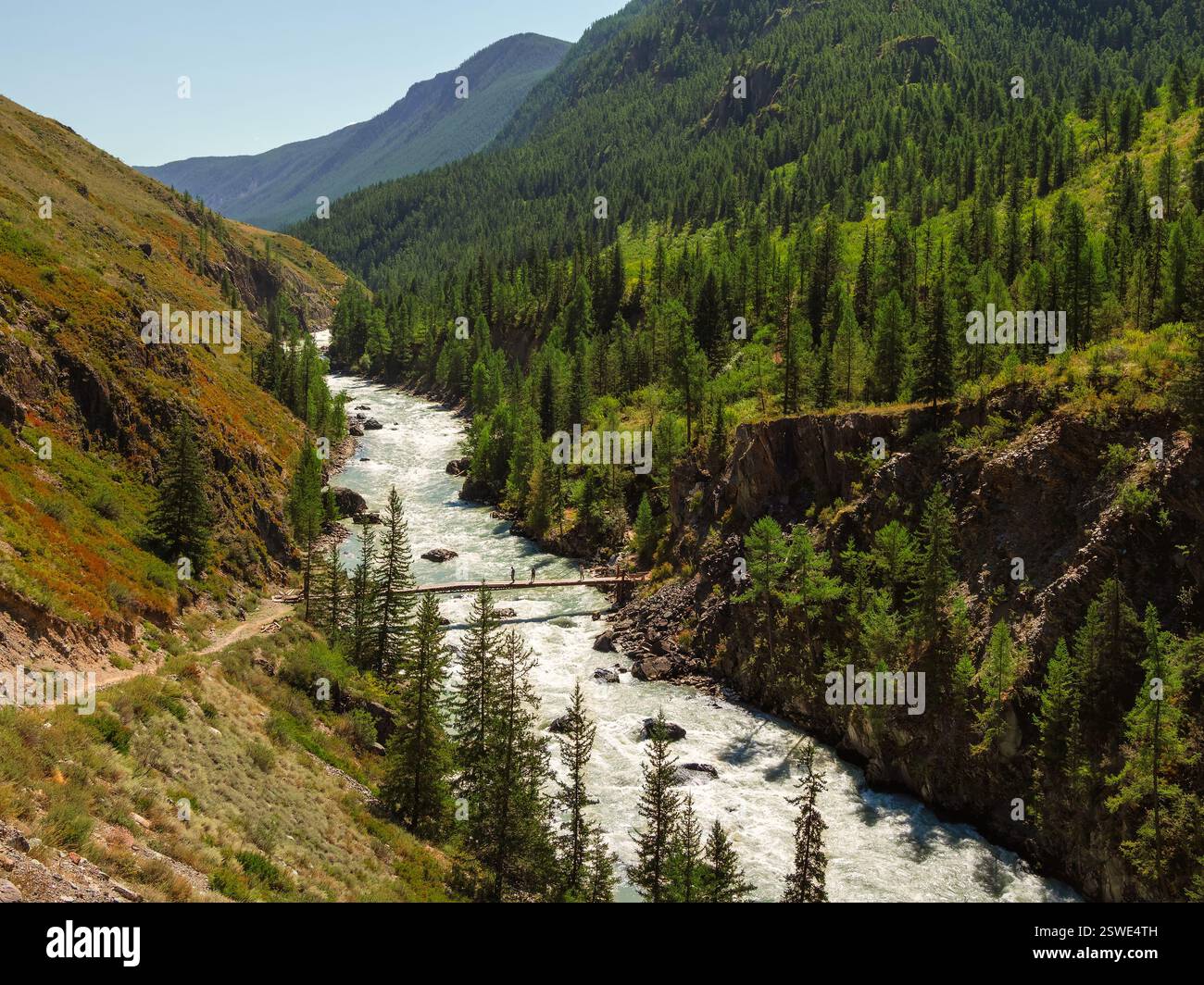 Swift mountain stream in green hi-res stock photography and images - Alamy