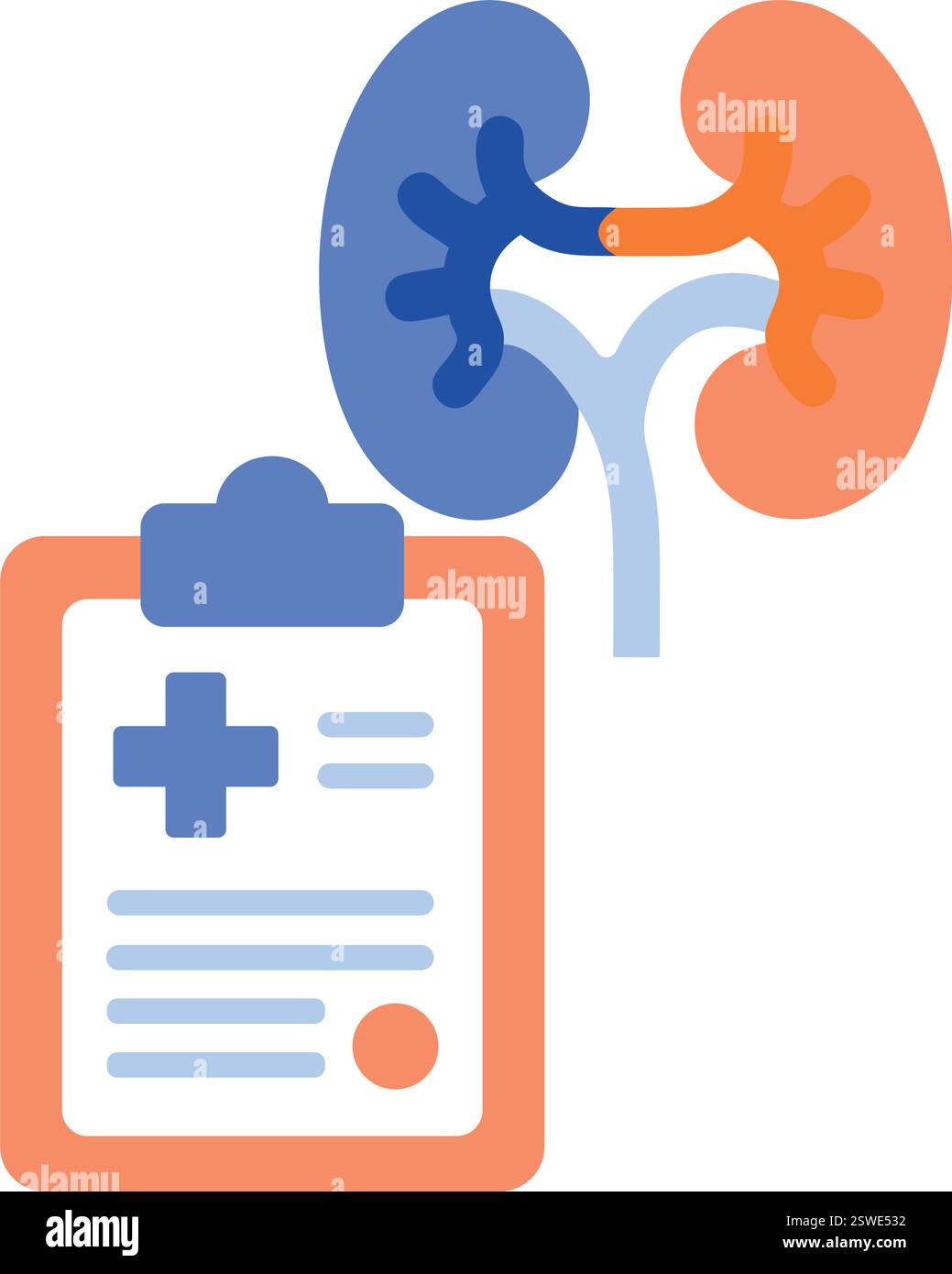 Kidney disease healthcare report icon Stock Vector Image & Art - Alamy
