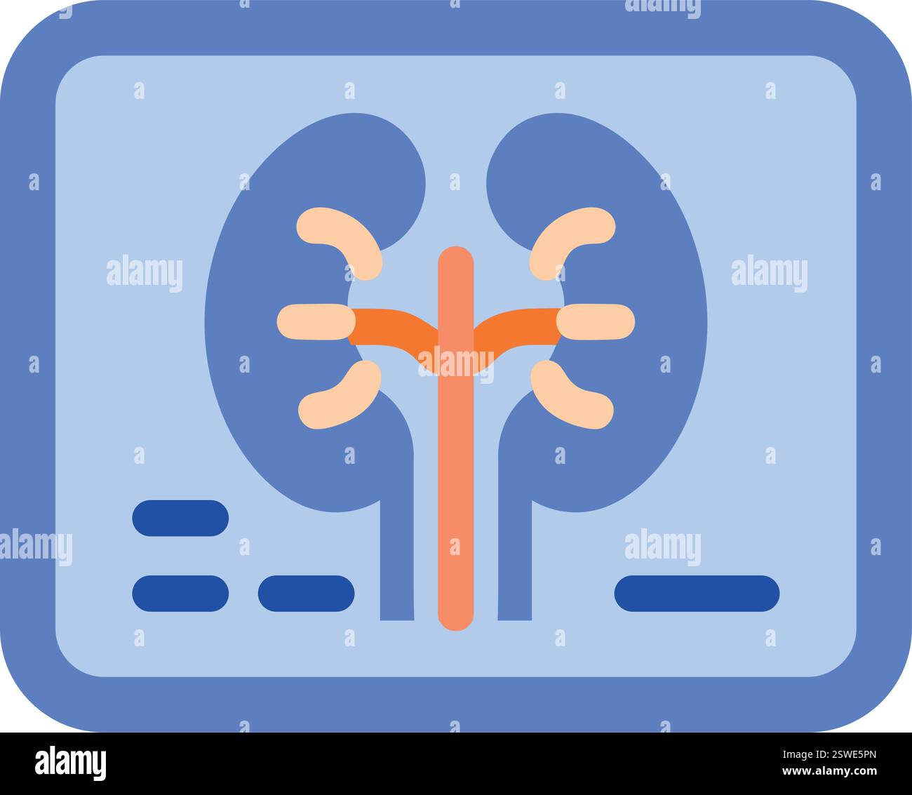 Kidney disease X ray icon Stock Vector Image & Art - Alamy