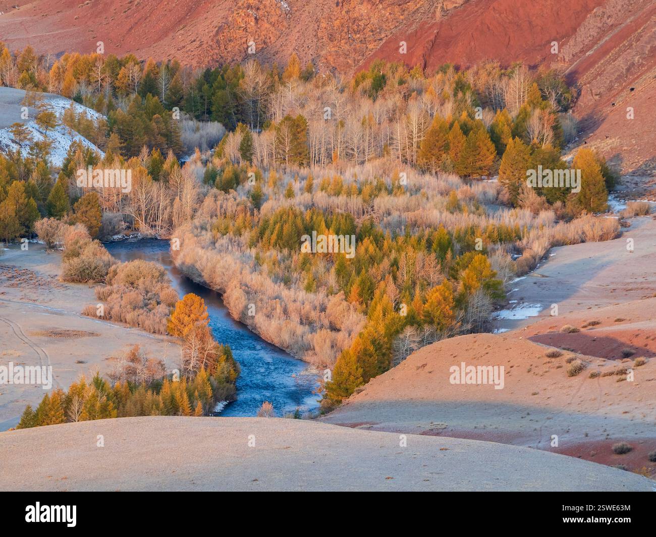 Wonderful alpine landscape with mountain river in valley with forest in ...